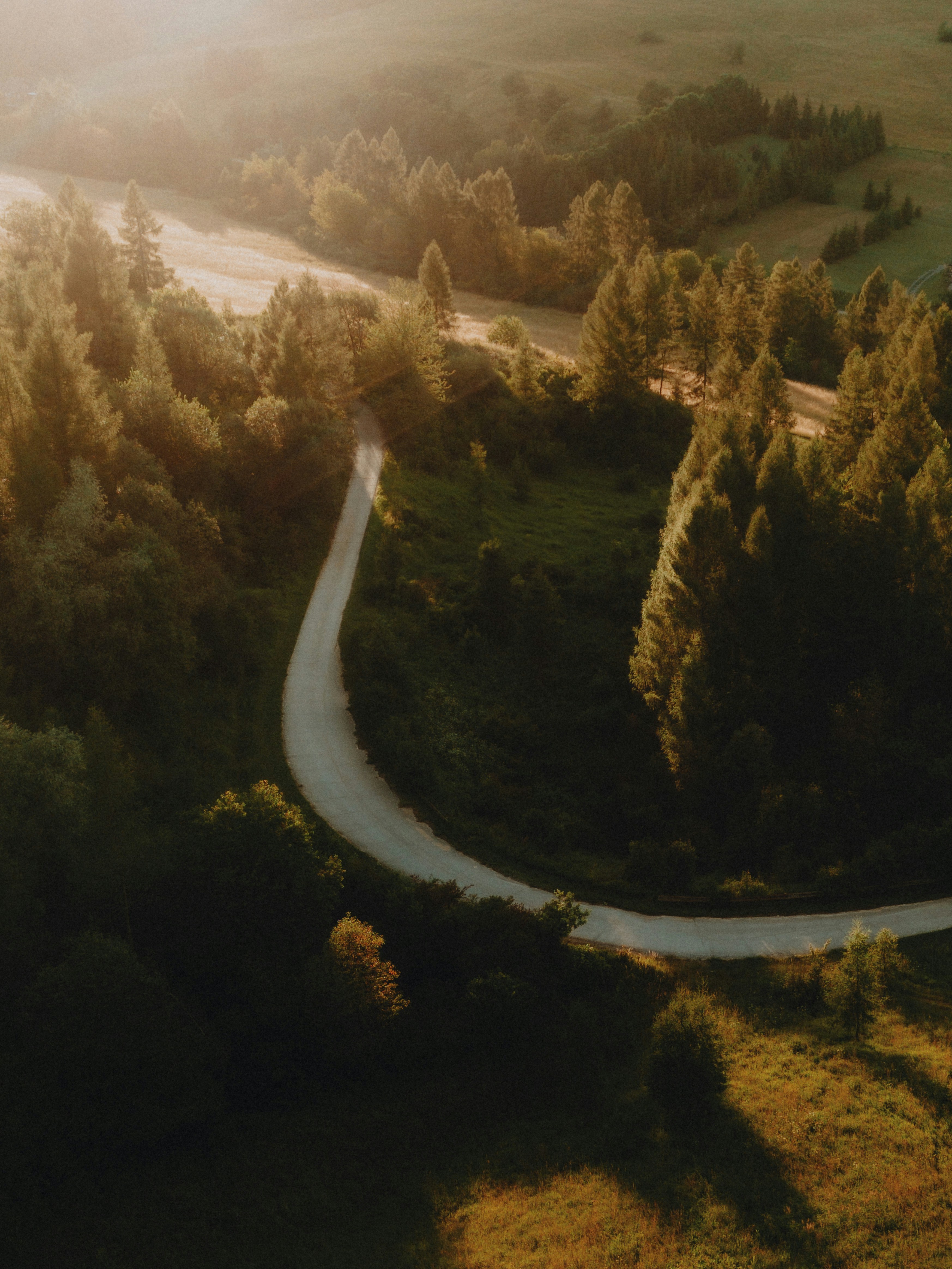 Golden Dawn Over the Winding Road