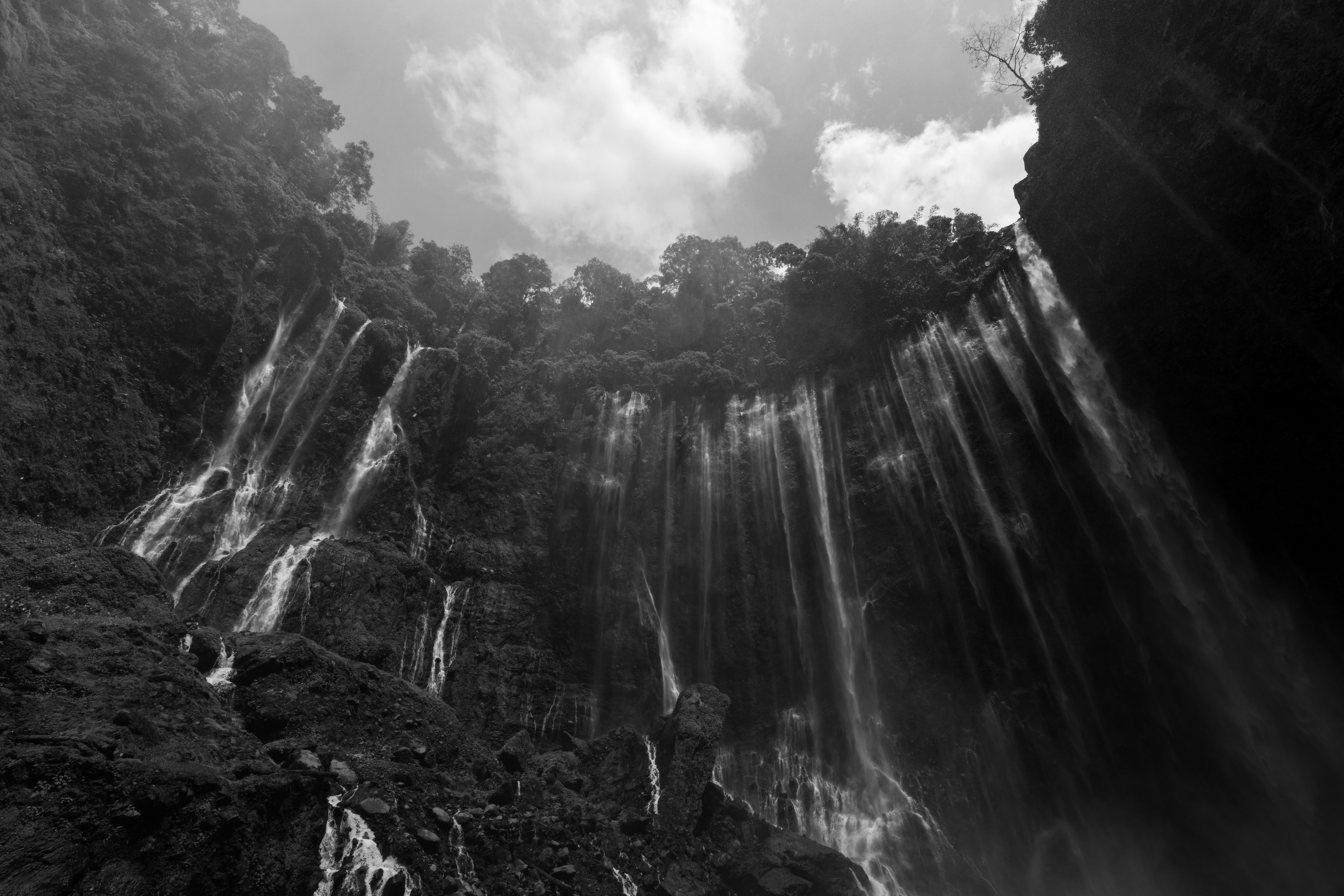 Monsoon Veil: Cascades in Monochrome