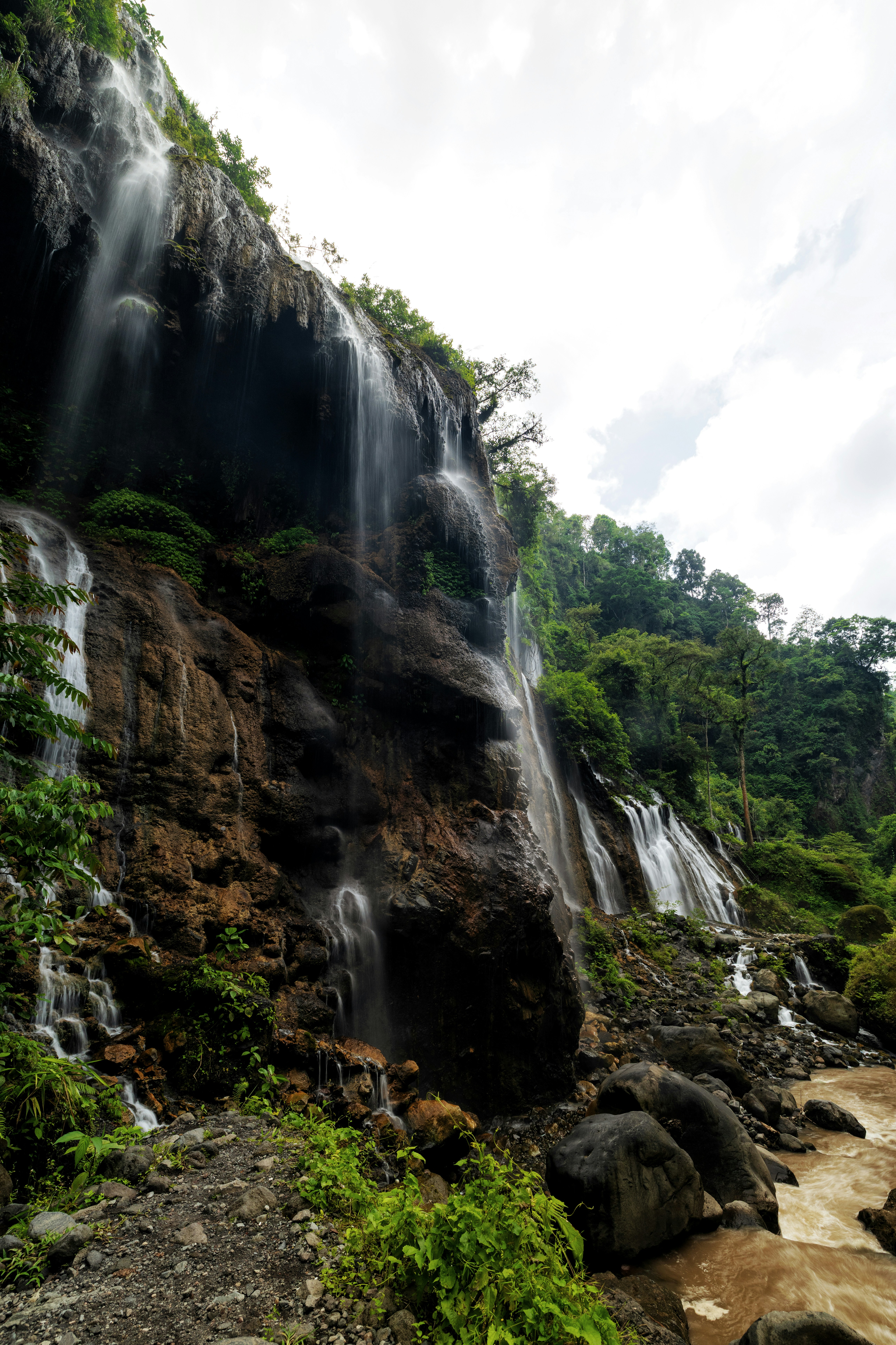 Cascading Veil: A Cliffside Waterfall Overgrown with Greenery