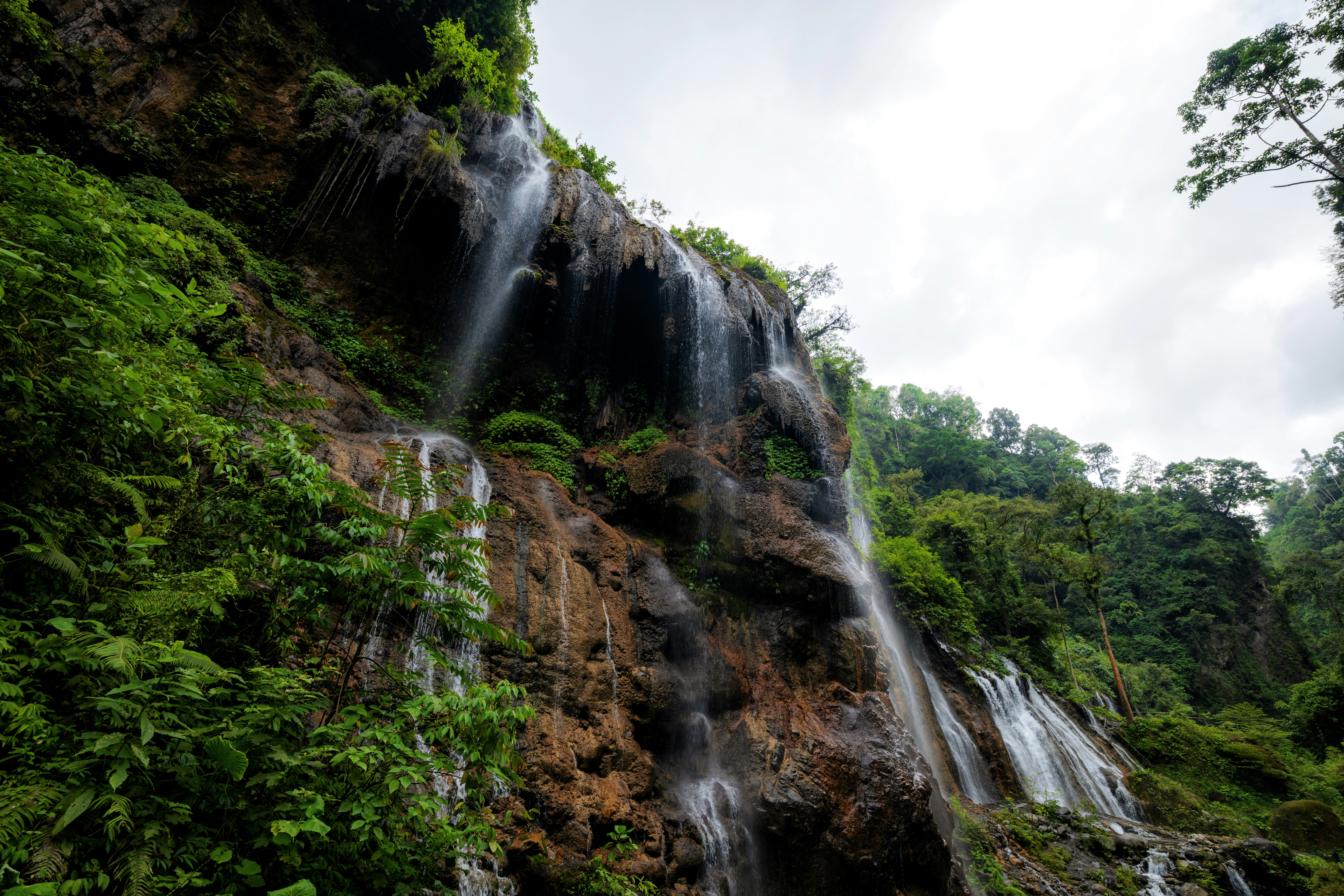Verdant Cascade: A Green Cliffside Hidden Waterfall