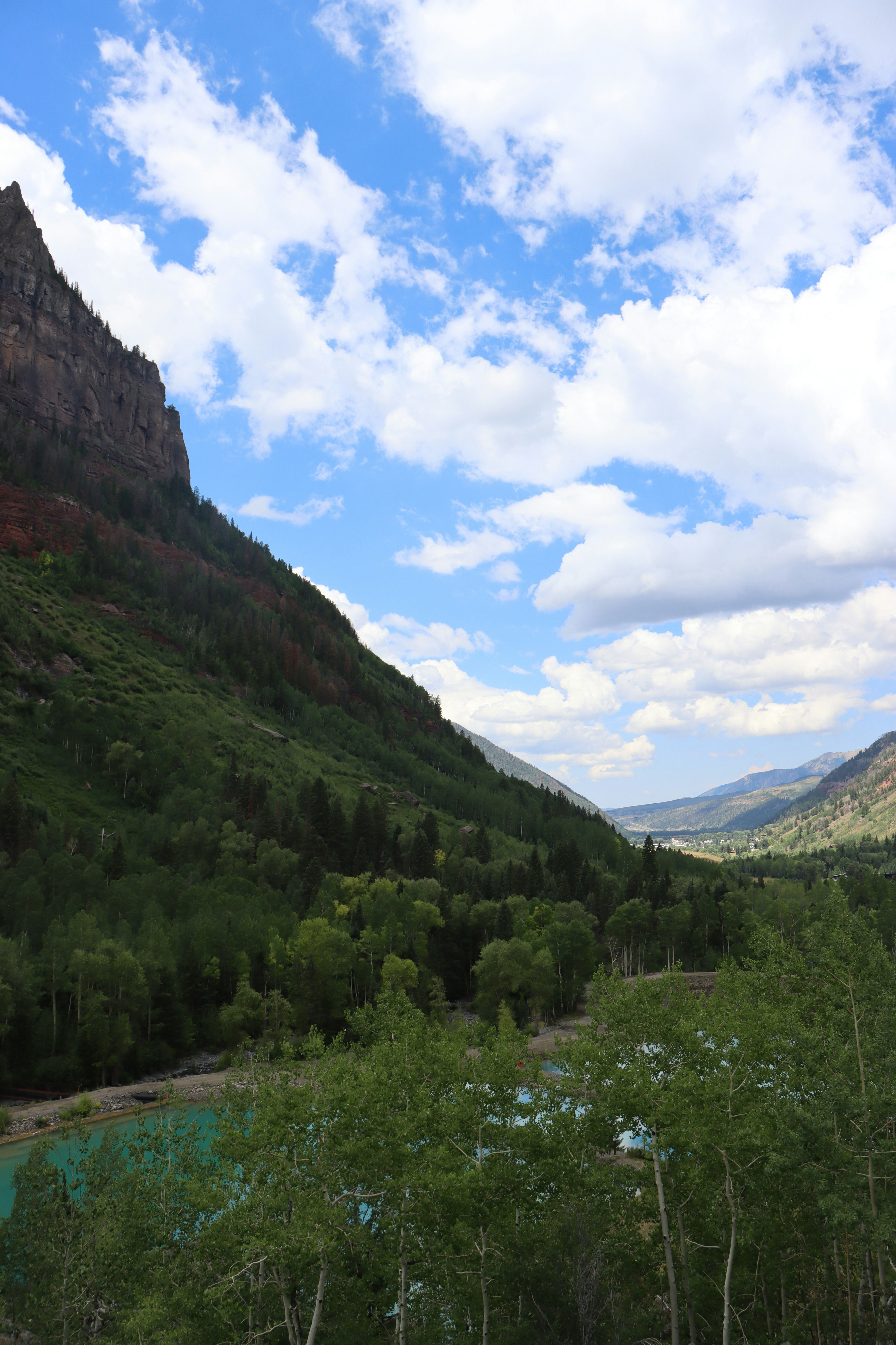 Valley Ledger: A Cascade of Pine and Sky