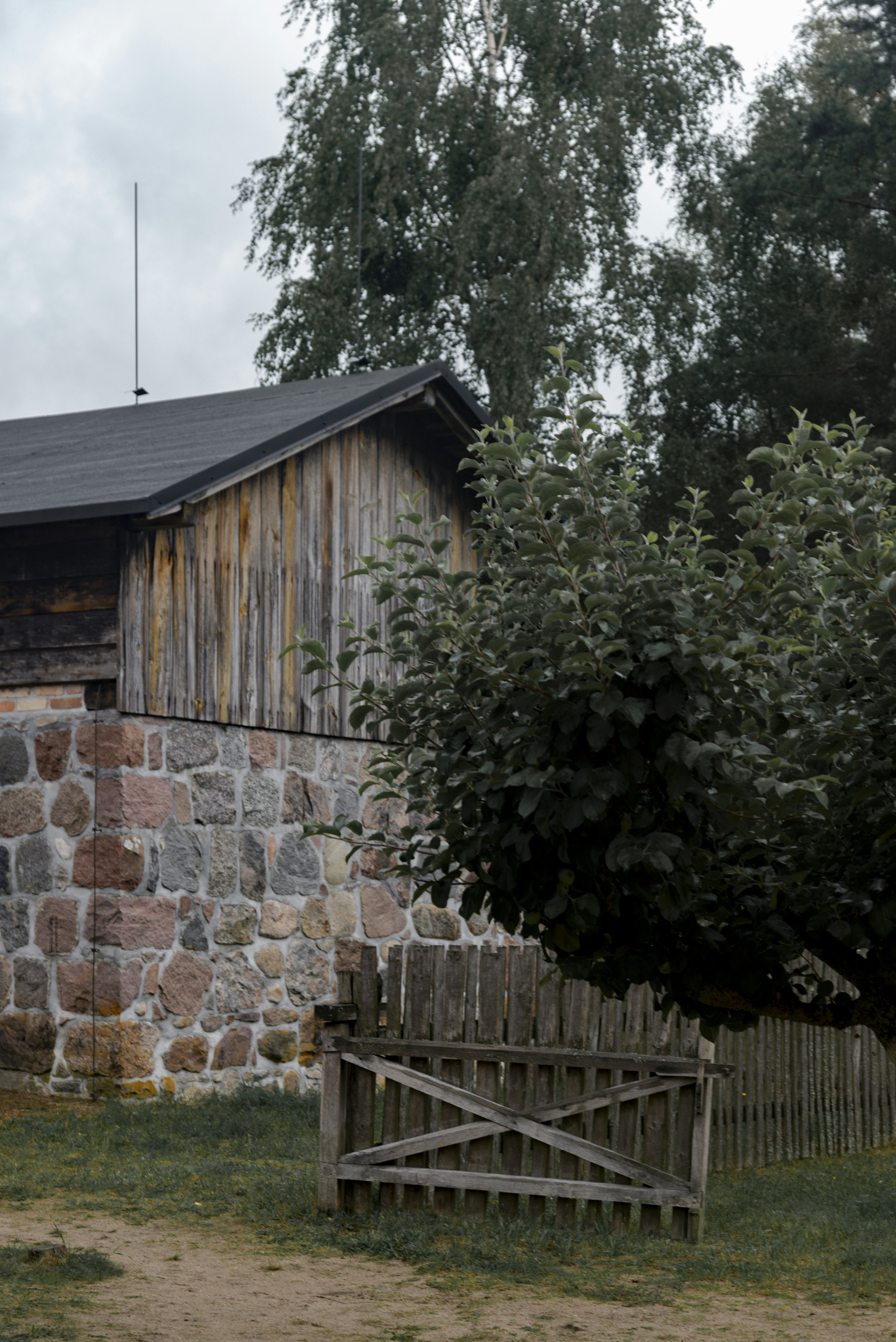 Rugged Farmstone and Orchard Fence Under a Quiet Roofline