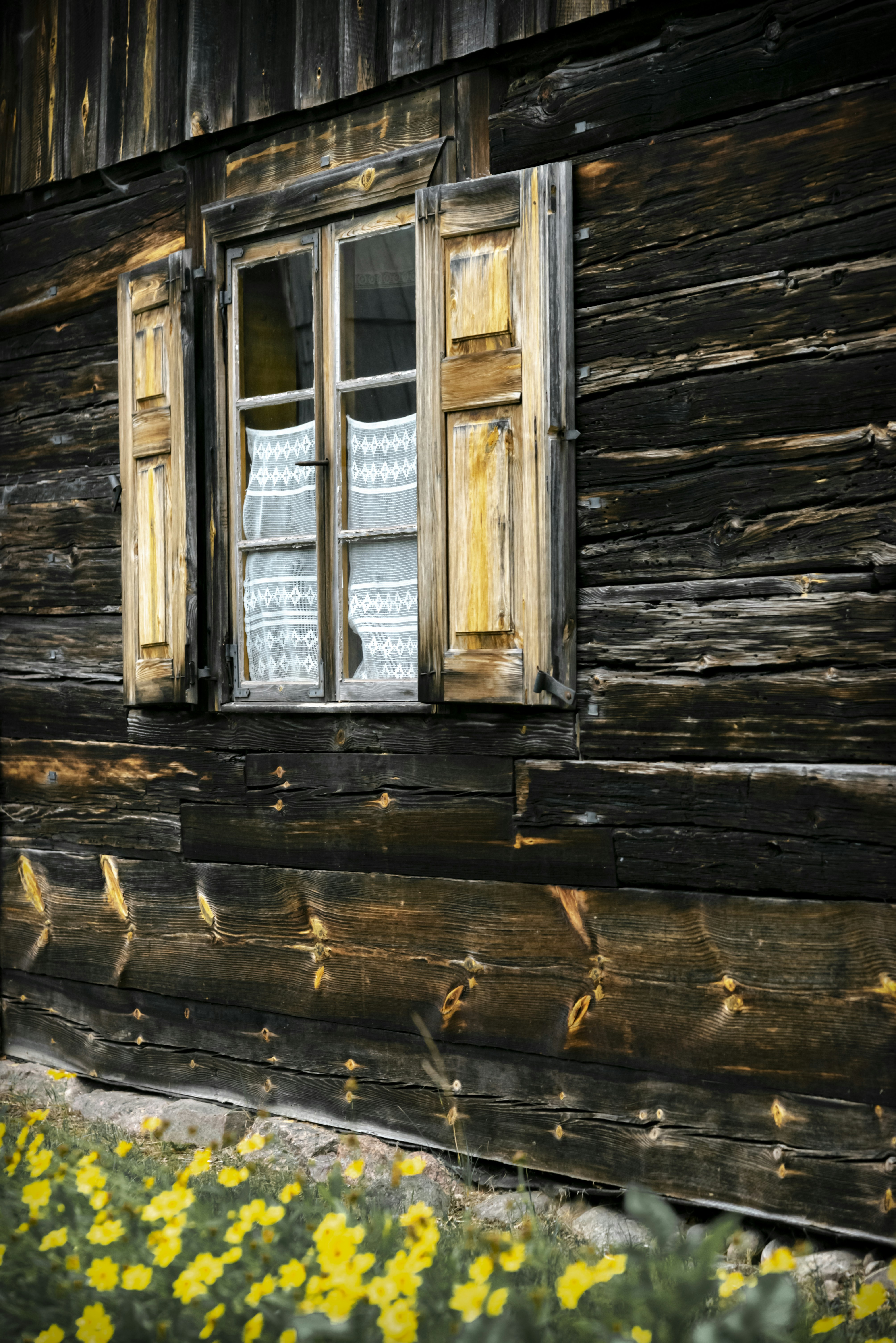 Weathered Window in a Log Cabin: Grain, Glass, and Glimpse of Lace