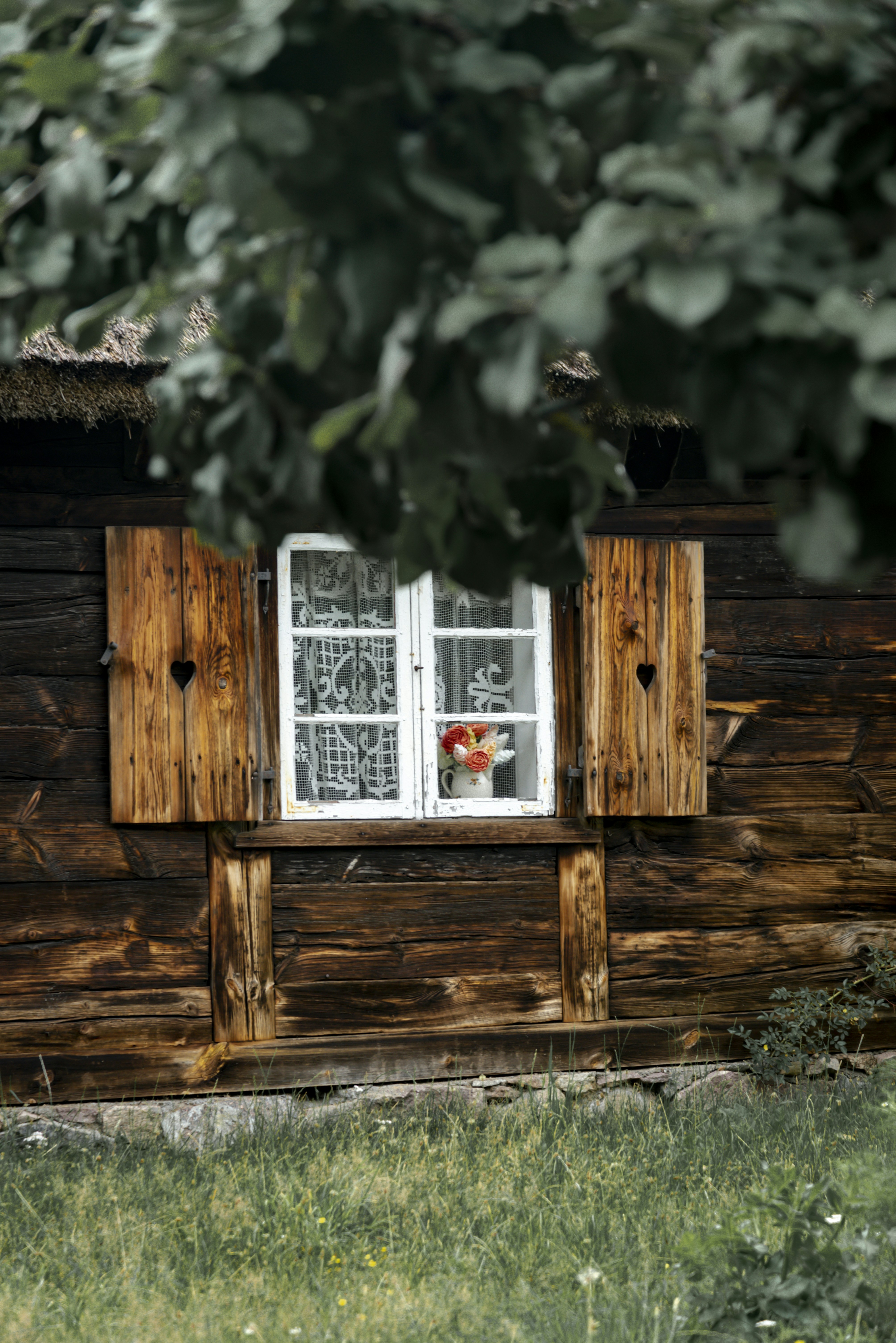 Oak-Walled Window That Holds a Vase of Roses