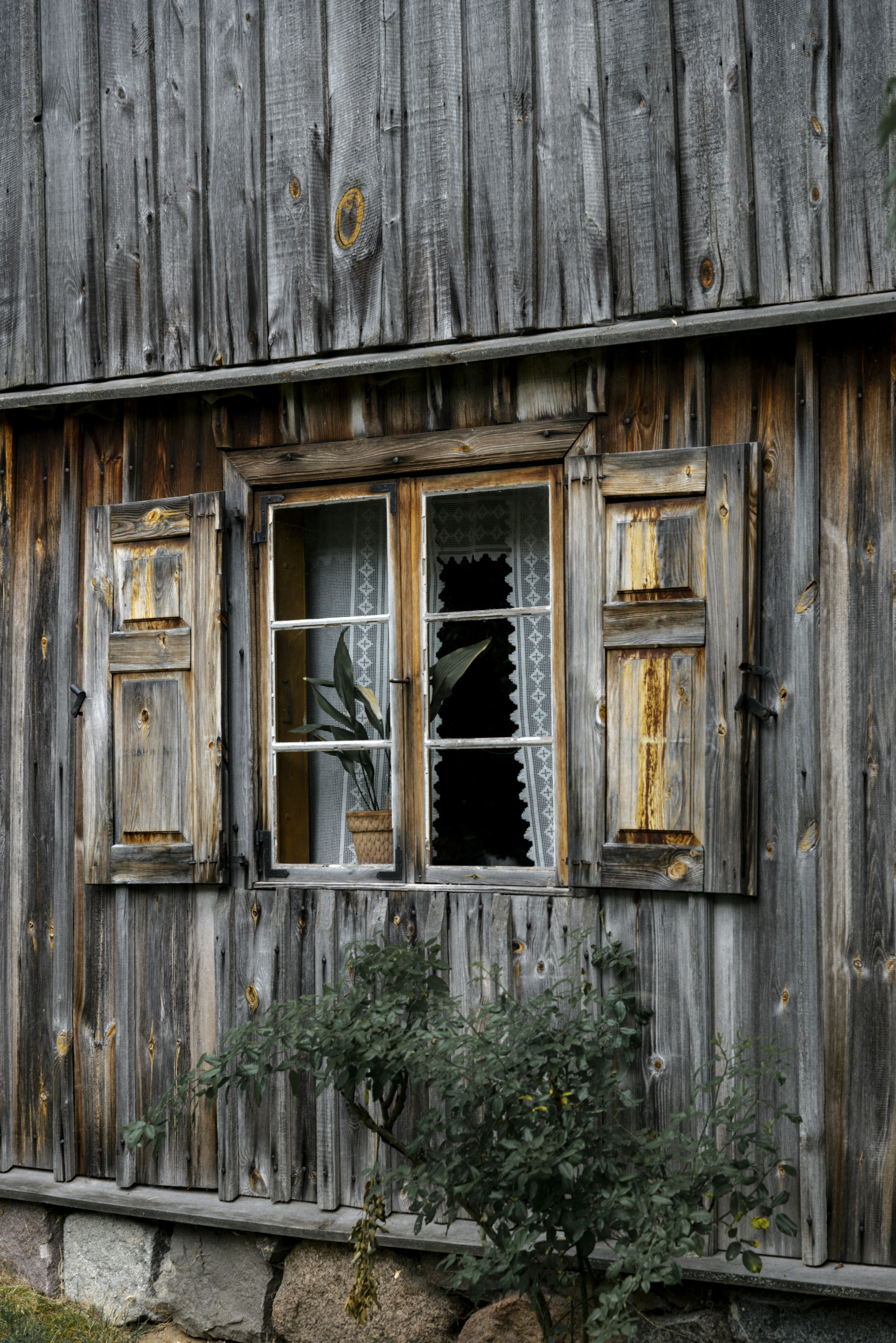 Weathered Window Dreams: A Priceless View through Timeworn Shutters