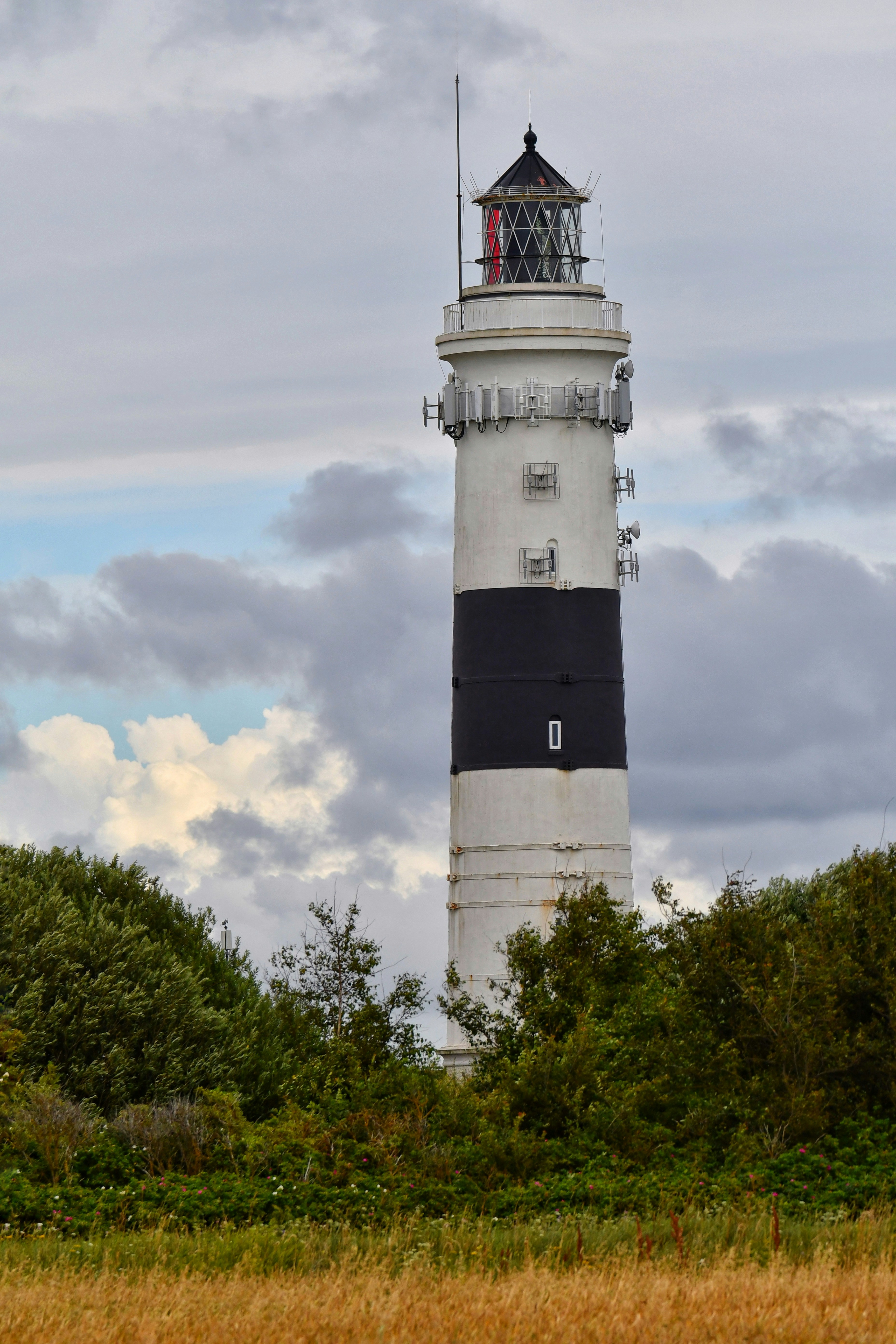 Lighthouse Sentinel: A Coastal Beacon Rises Above Verdant Fringe