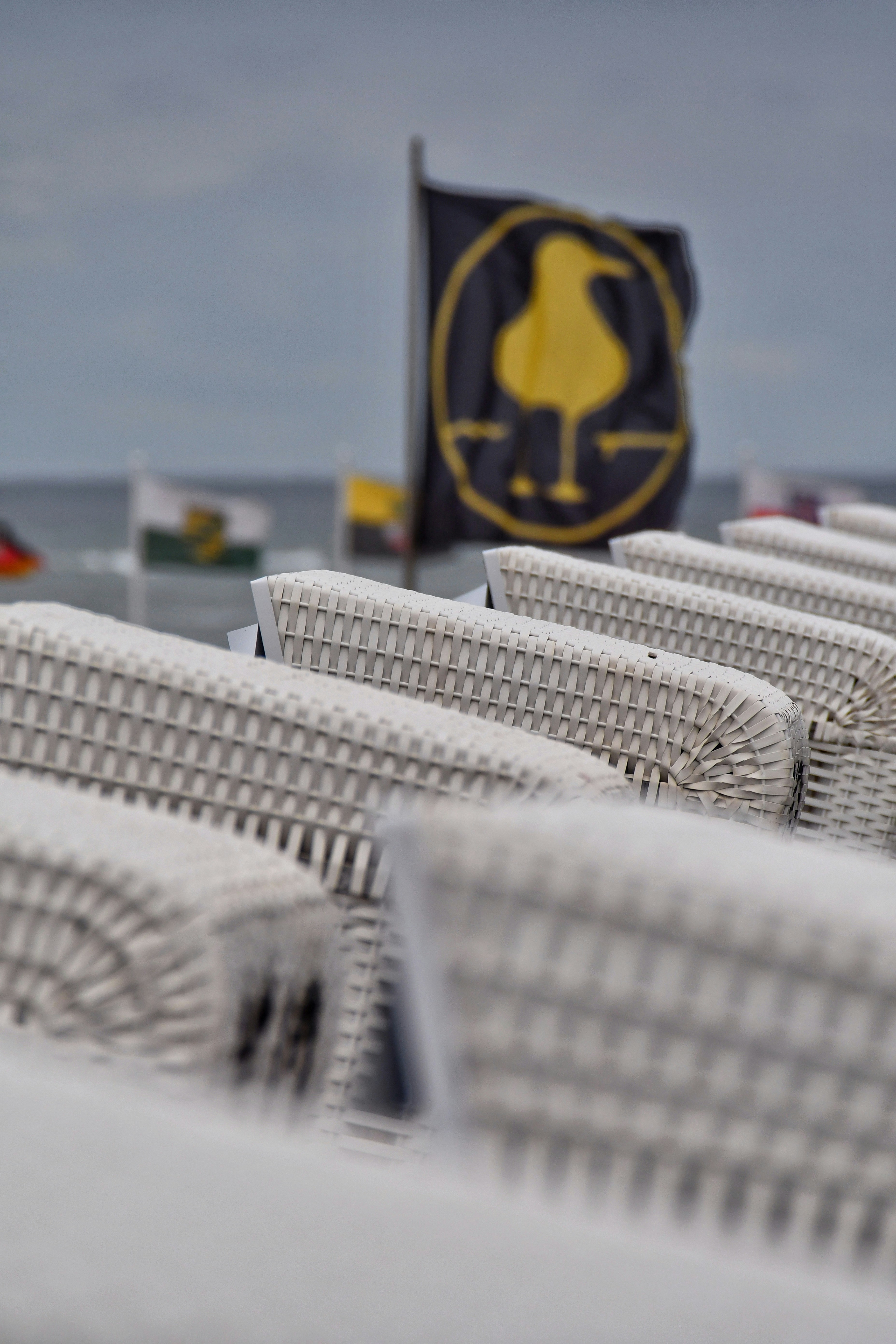 Row of Beach Chairs Leading to a Flag with a Bird Emblem