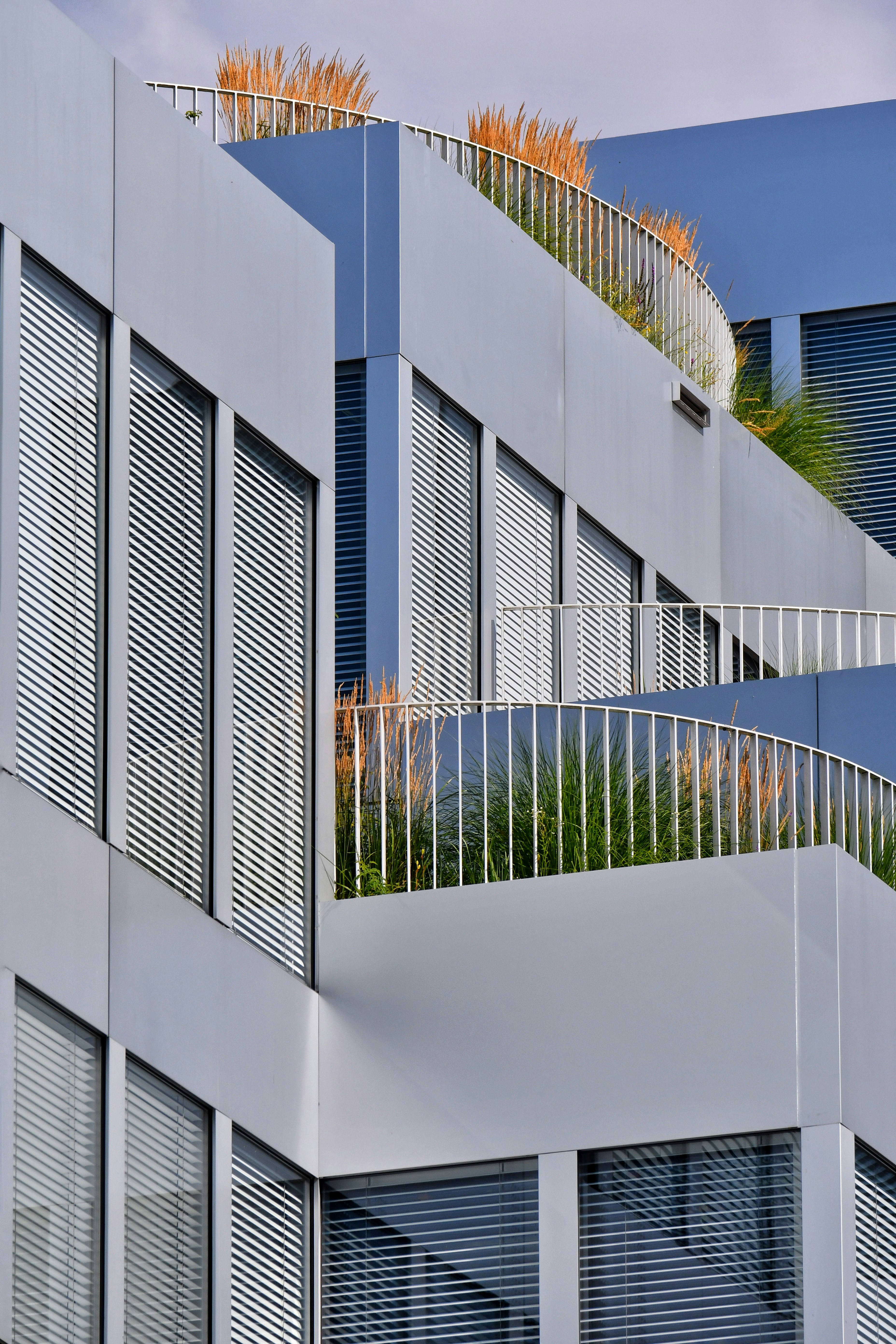 Geometric Facade with Quiet Verdant Edges