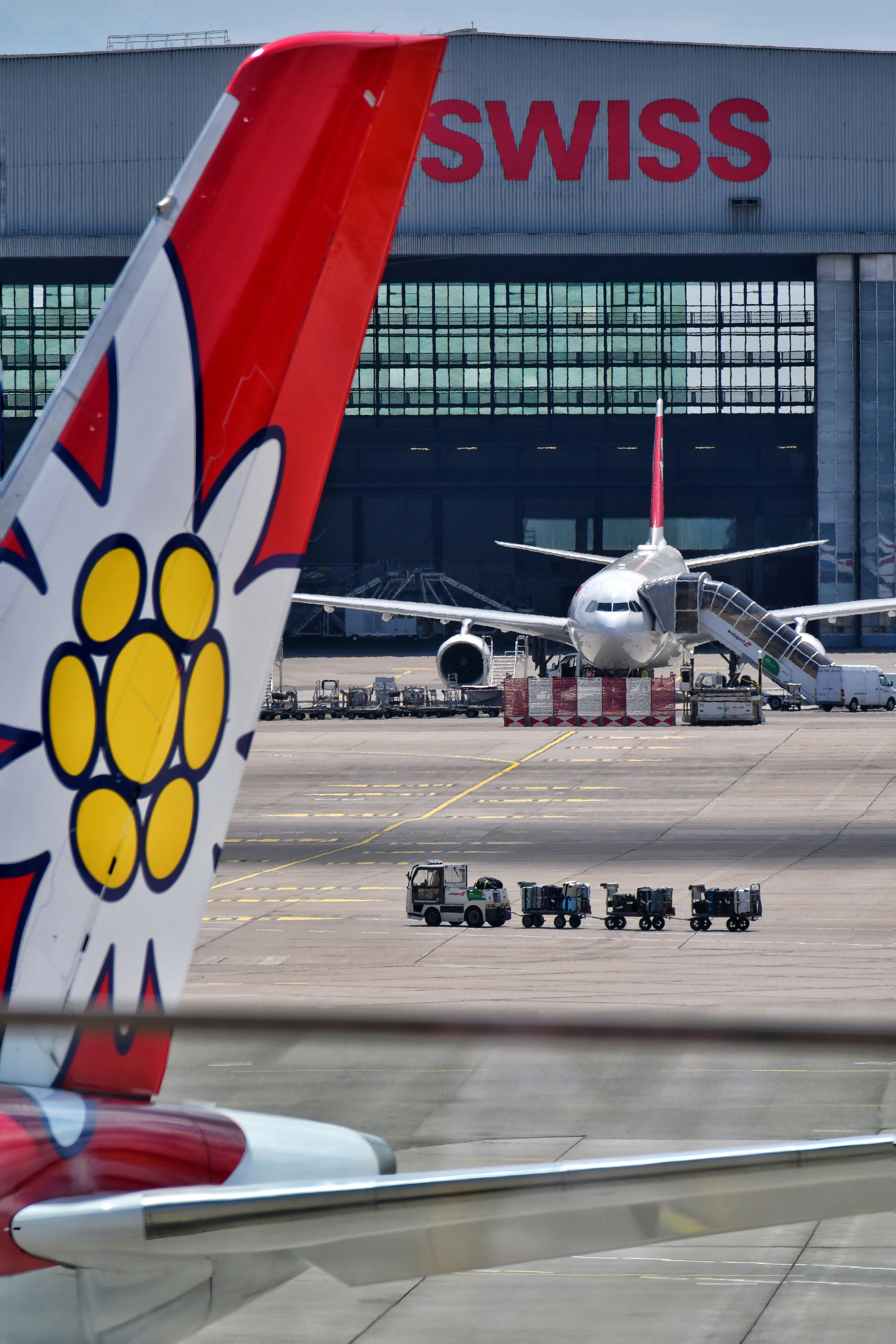 Tail Flag in the Foreground, Jet at the Gate: A Portrait of an Airport Stand