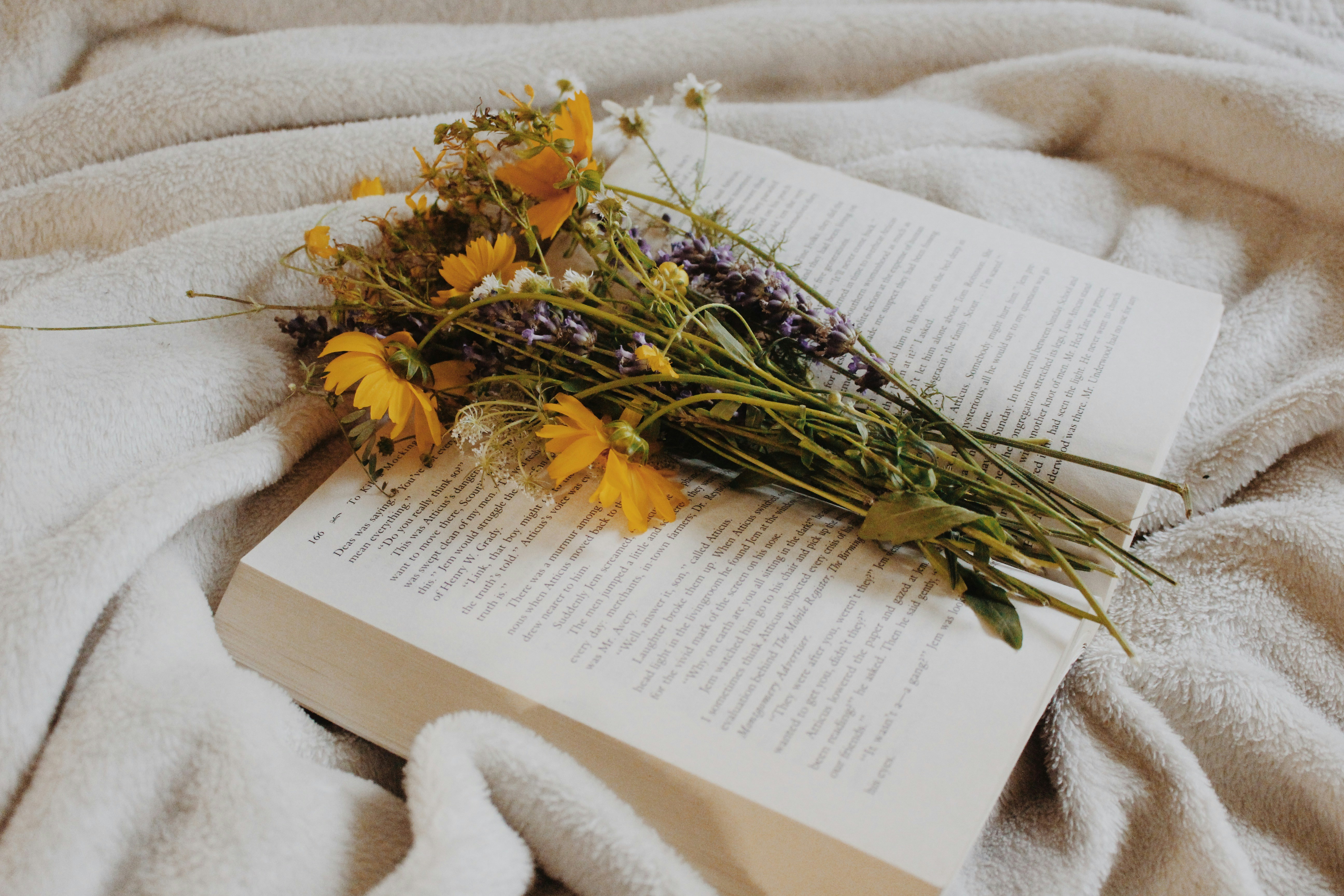 Sunlit Wildflowers Resting on a Folded Page