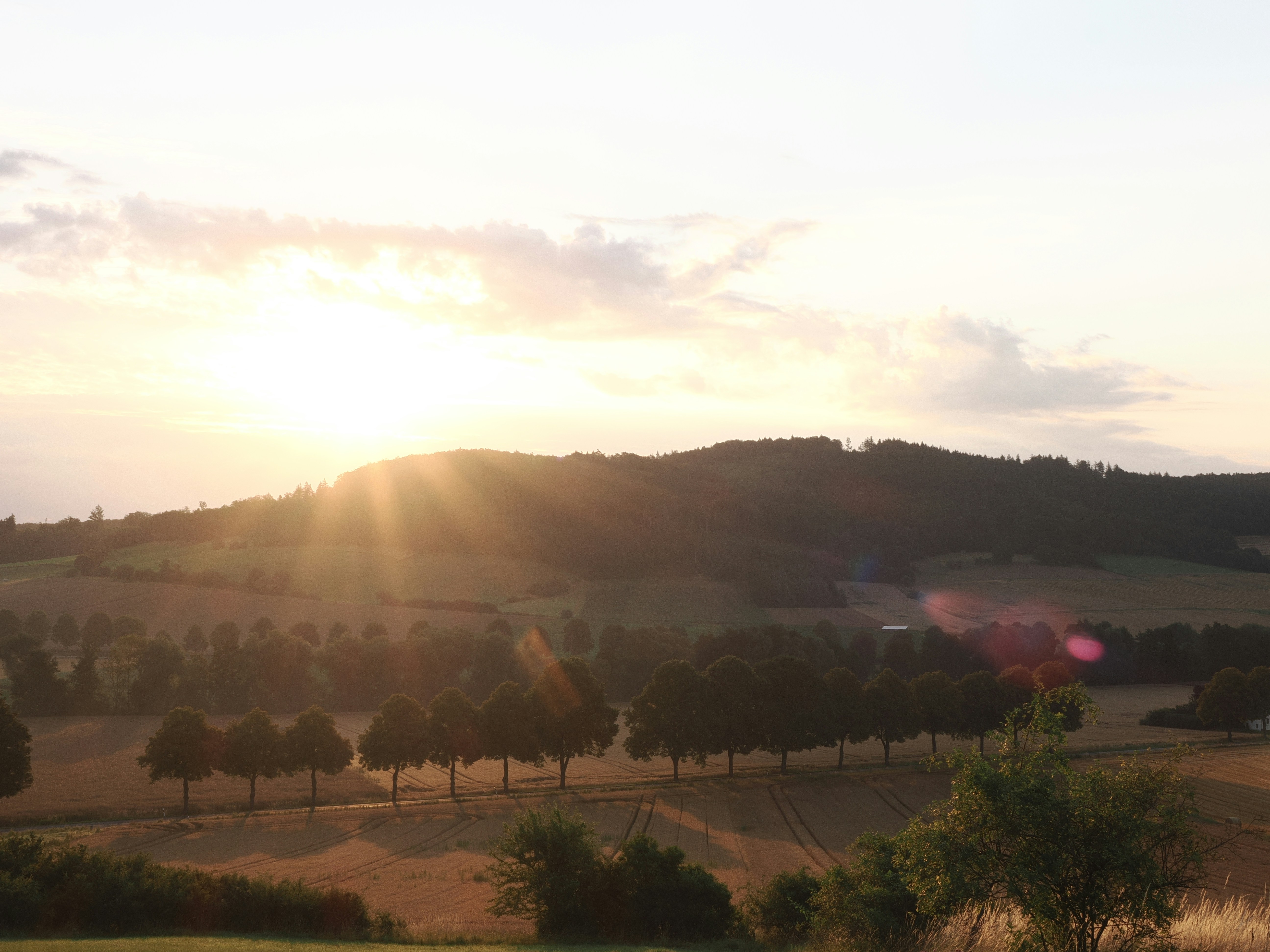 A Sunlit Horizon Over Rolling Fields