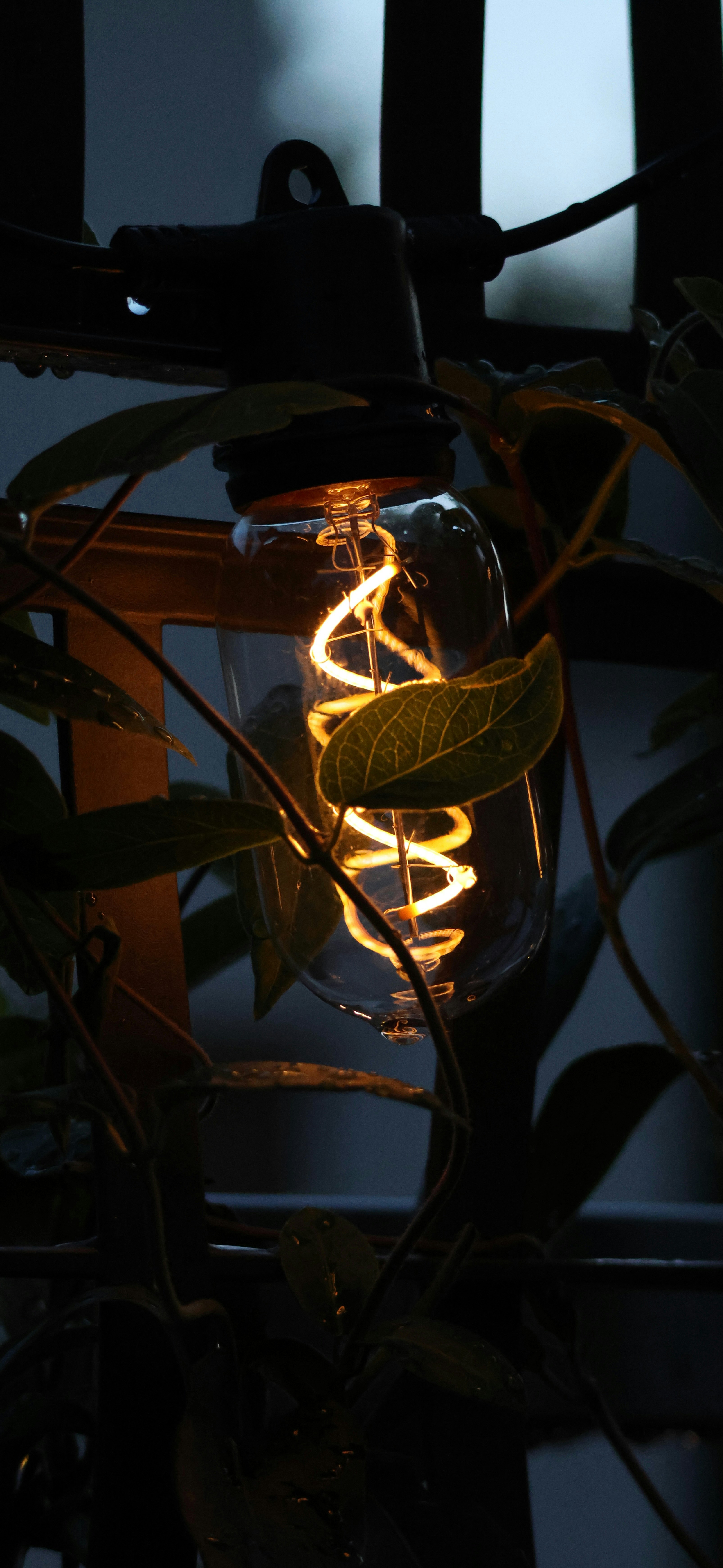 Coiled Glow: An Edison Filament Amid Vines