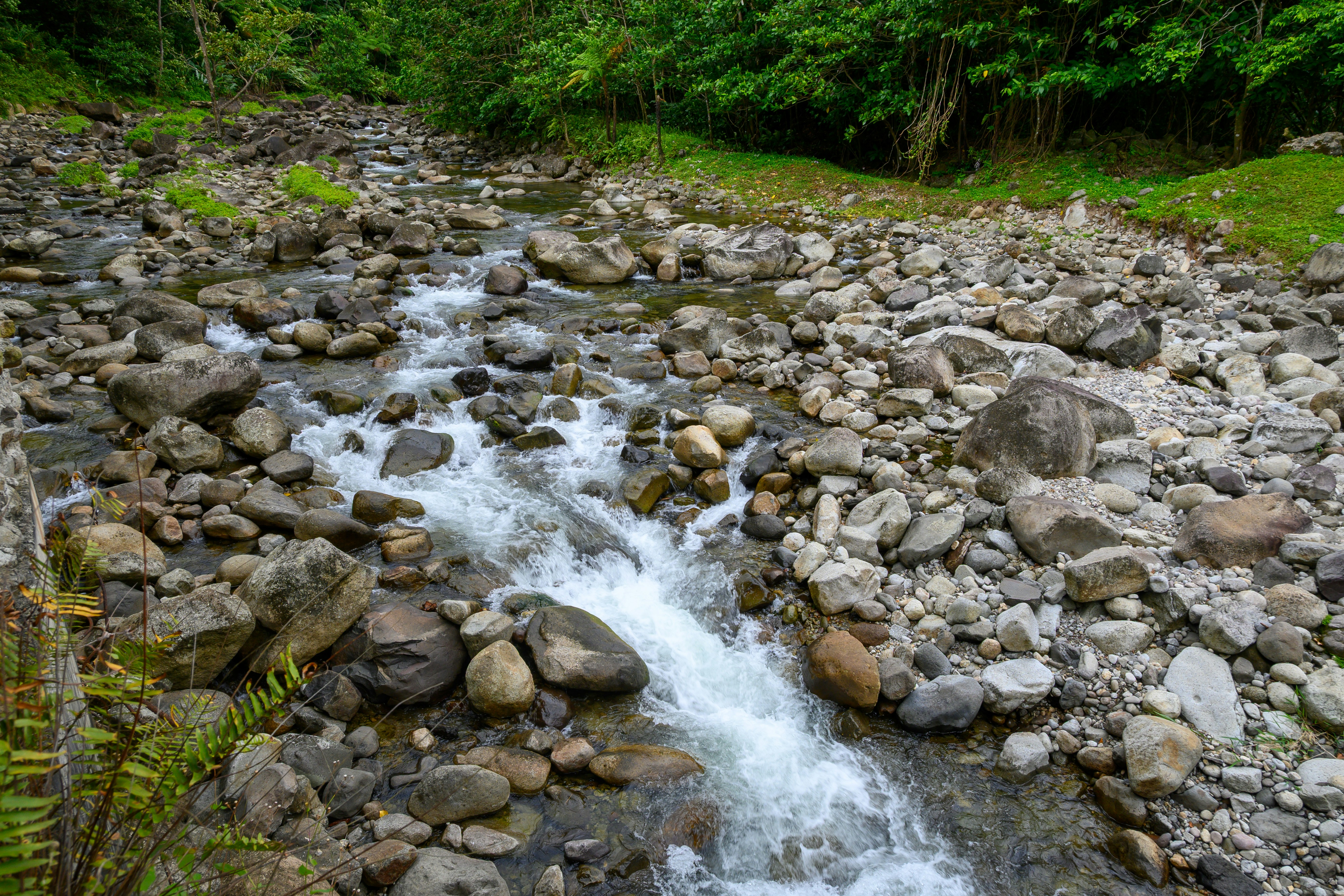 Quiet Mountain Torrent Crossing a Shingle Bed