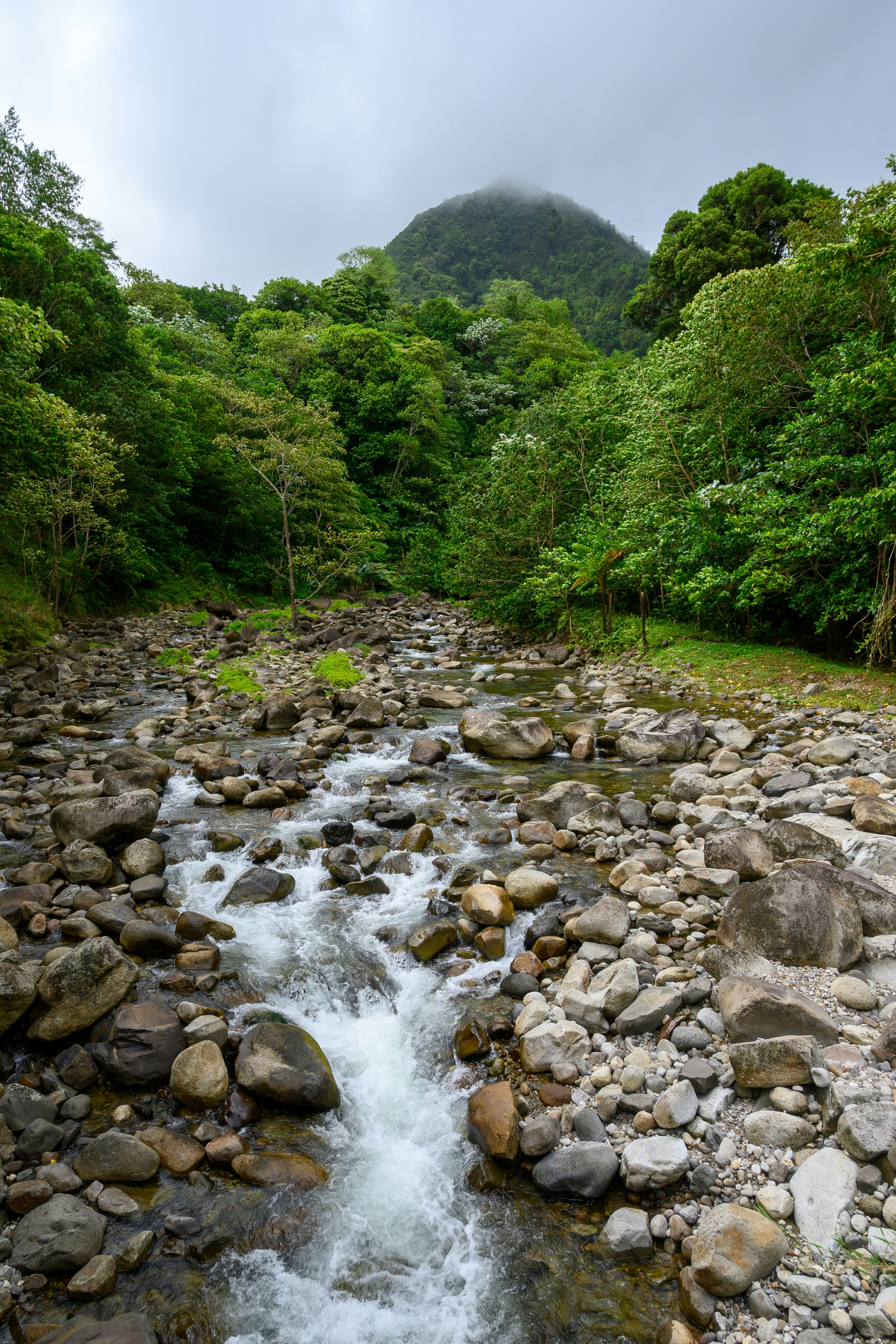 Rushing Mountain Stream through a Green Valley
