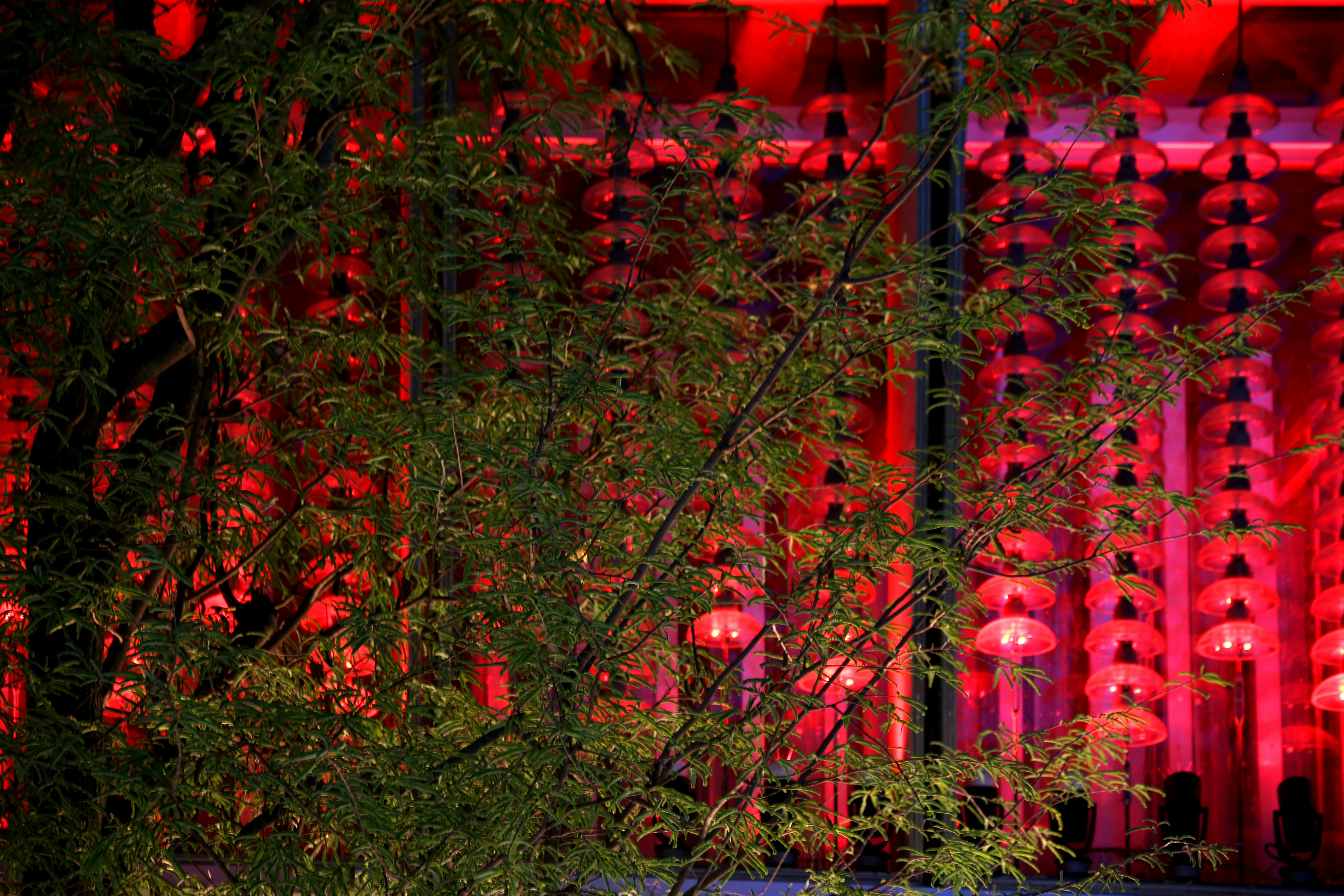 Burnished Red Lanterns Behind Leafy Veil