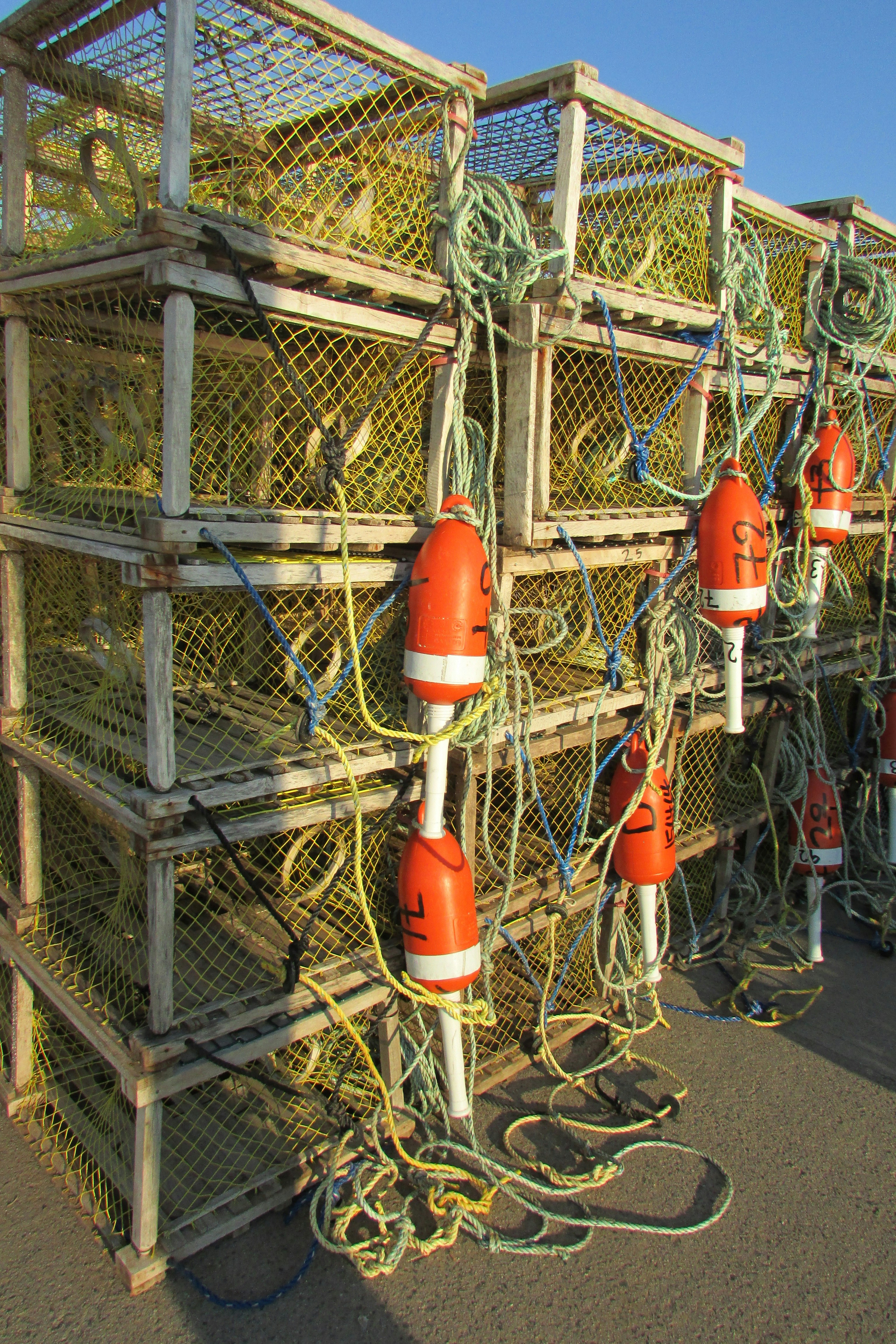 Stacked Crab Pots: Orange Buoys and Coiled Ropes in the Harbor