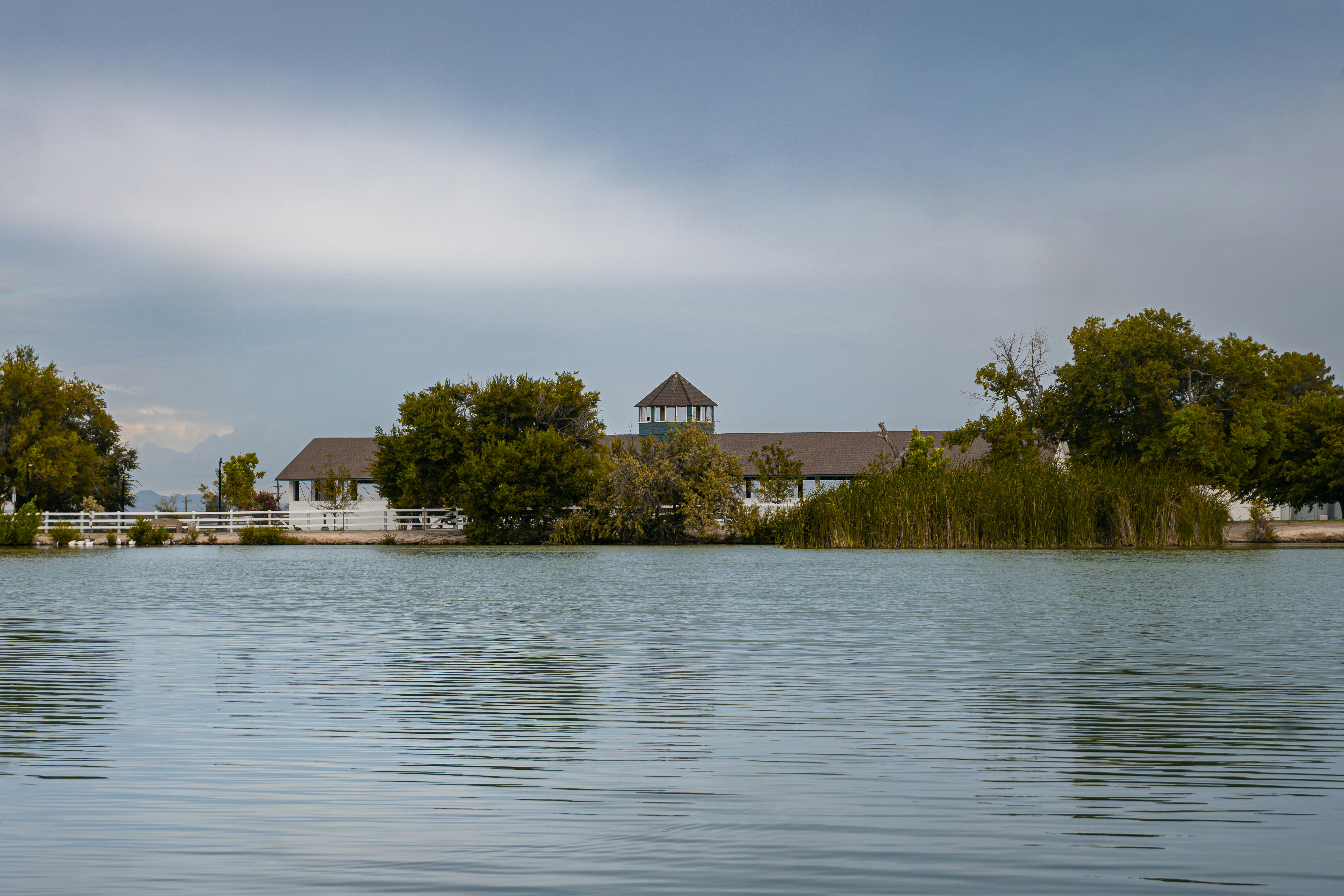 Waterfront Barns Emerging from the Reeds