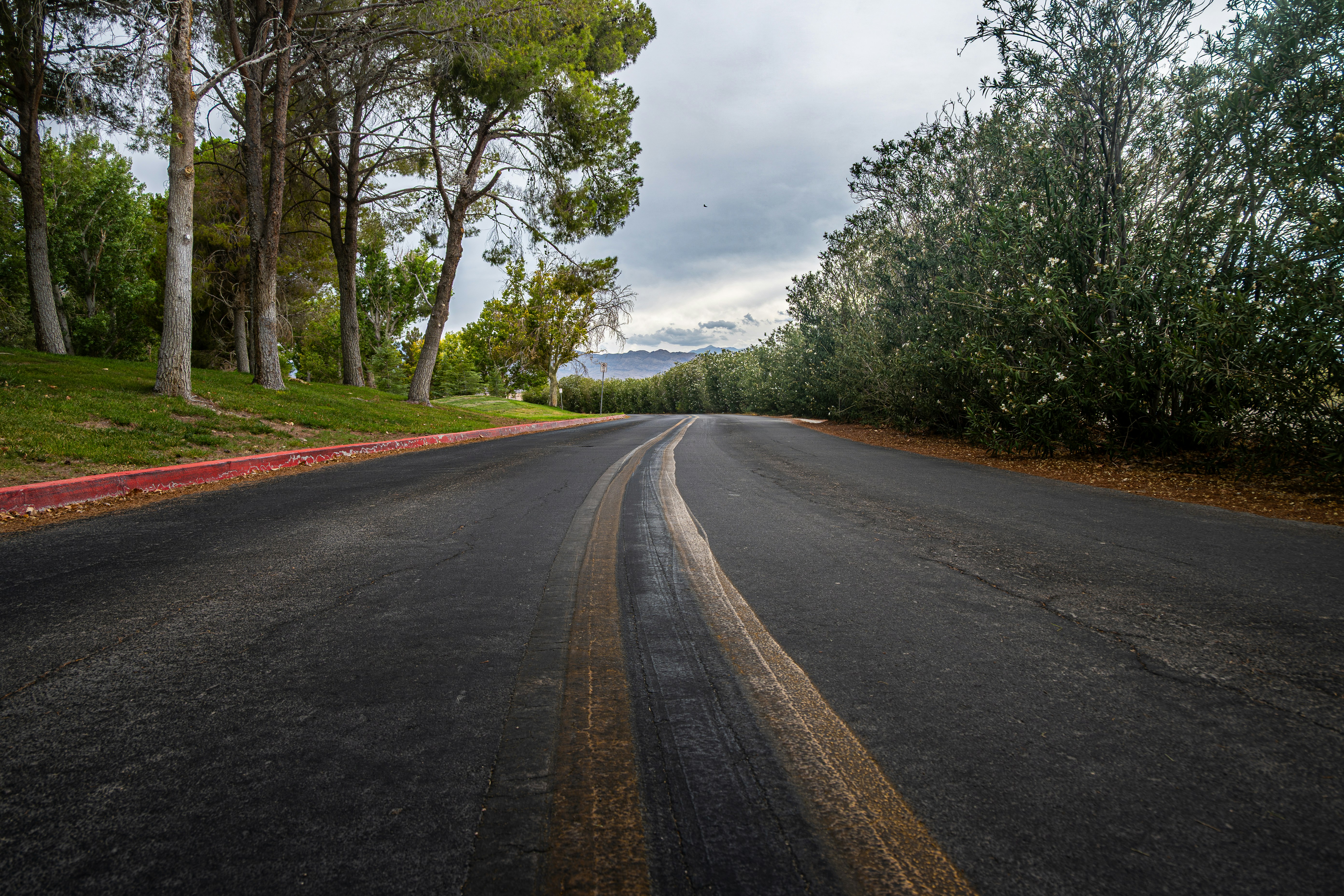 Open Road Through a Quiet Canyon: A Morning Stretch