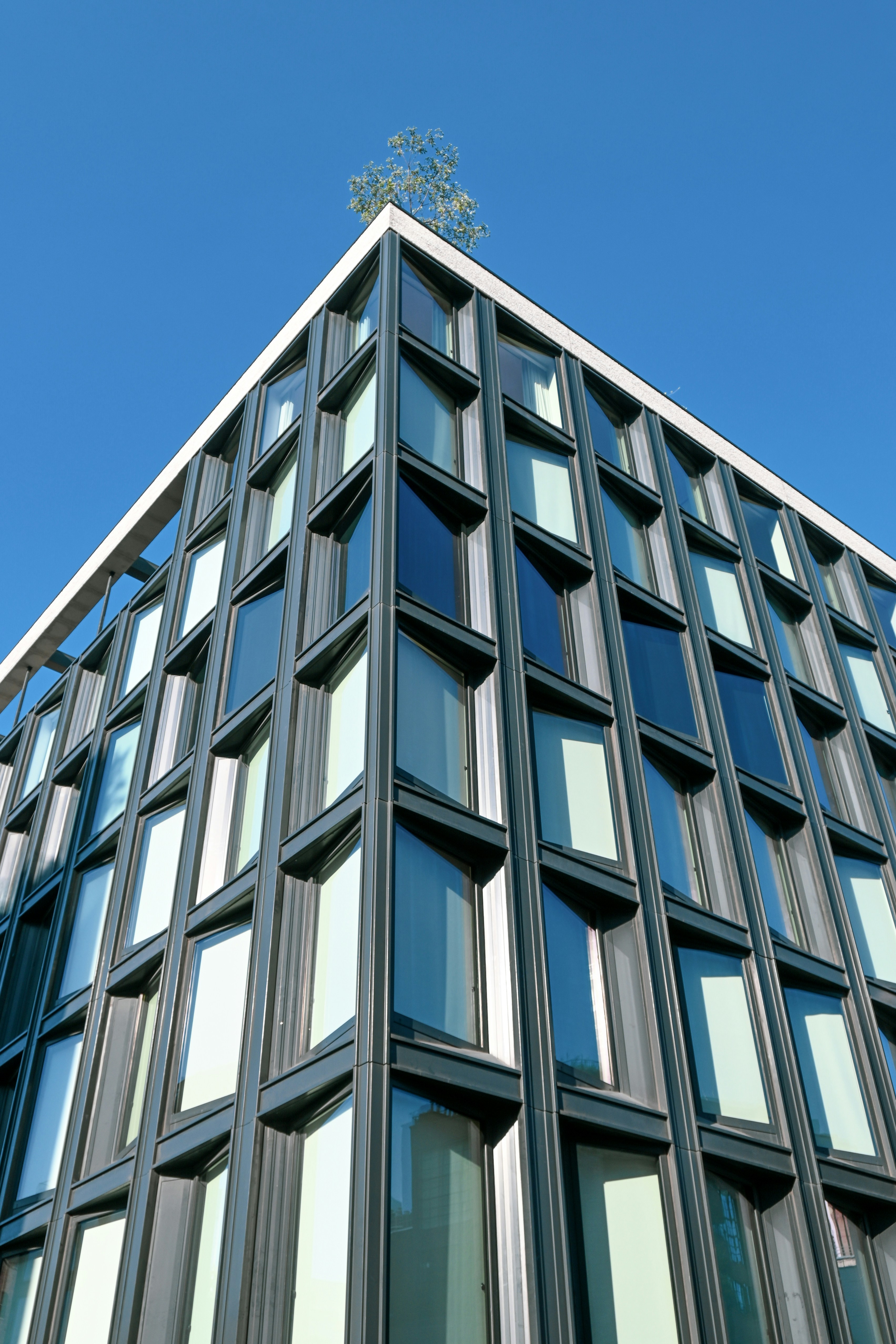 Vertical Facade Constellation: A Sky-Blue Corner