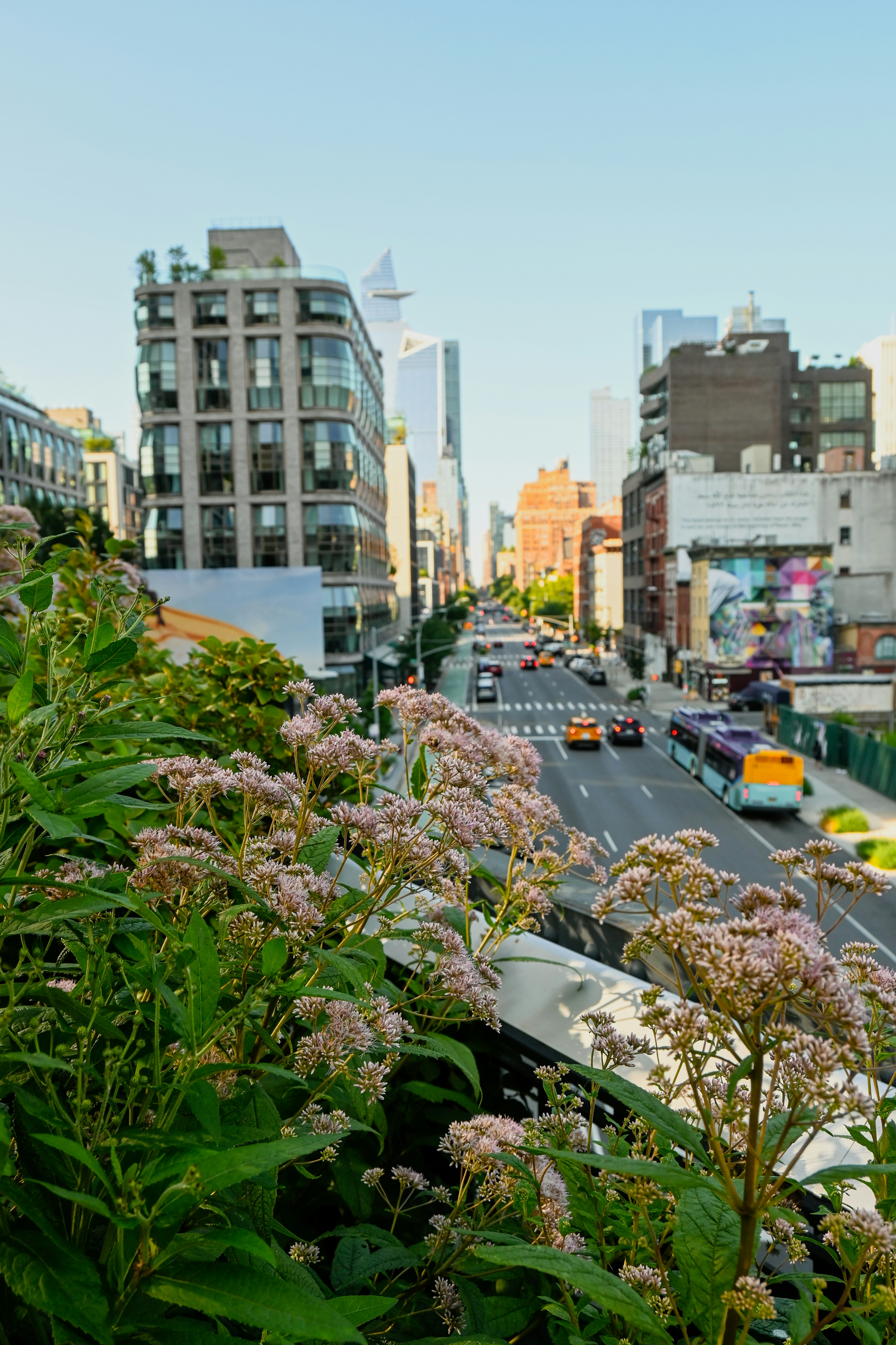 Urban Lullaby: Plants Framing a City Street Downrush