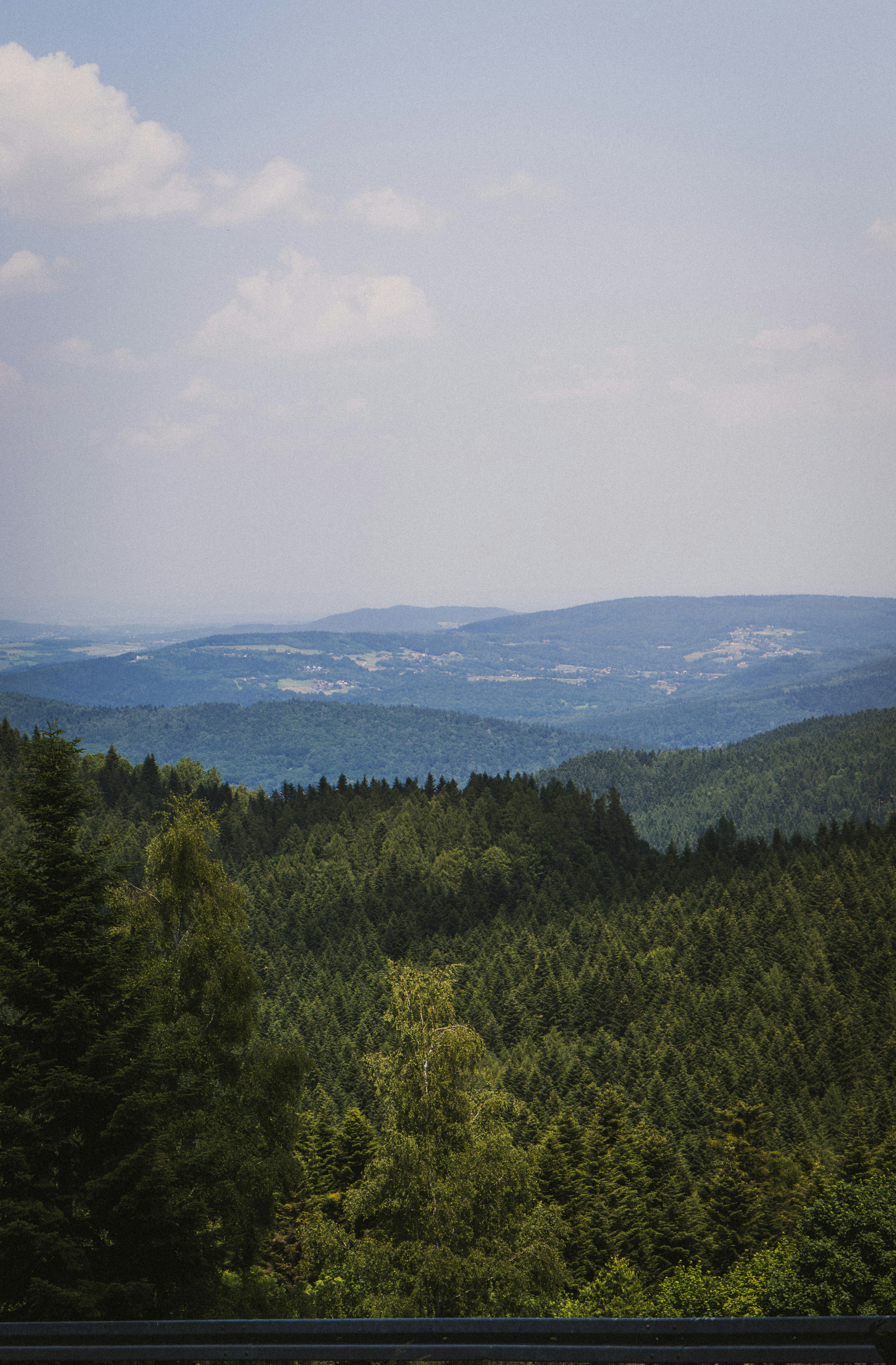 Endless Green Tapestry: Distant Hills from a Forested Ridge