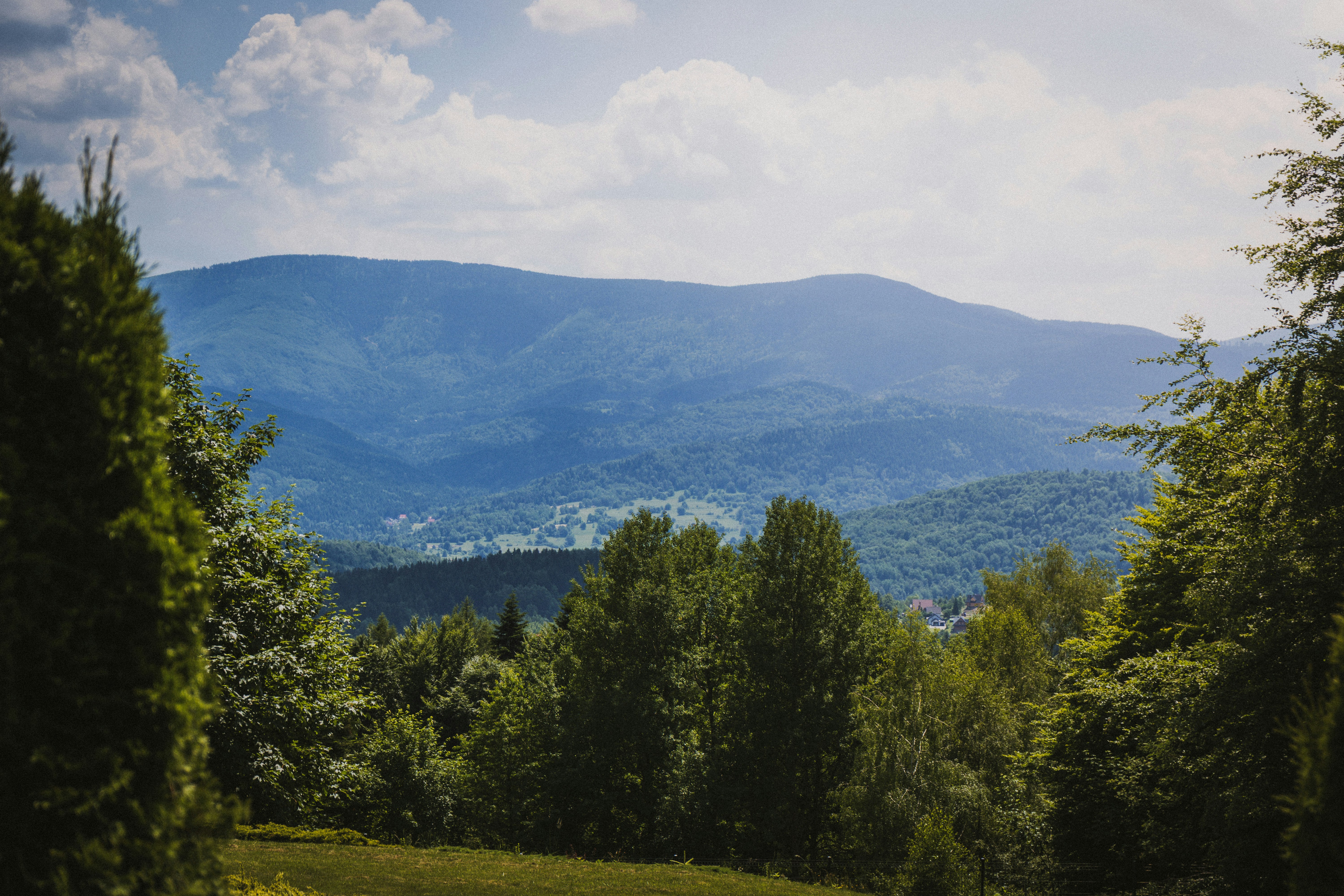 Silent Ridge: Blue Hills Crest Beneath a Quiet Sky