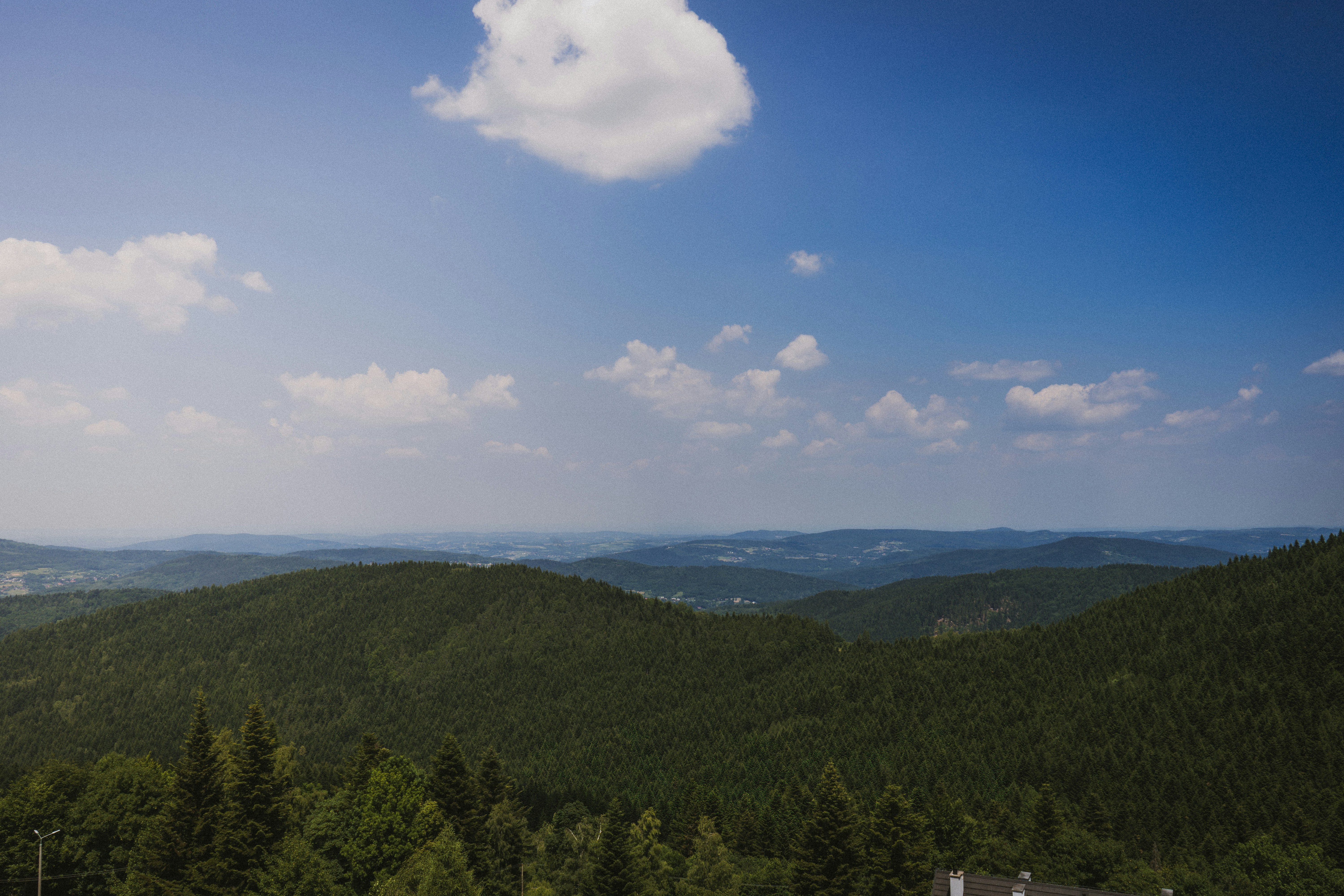 Hidden Summit Canopy: A Serene Valley from the Treeline