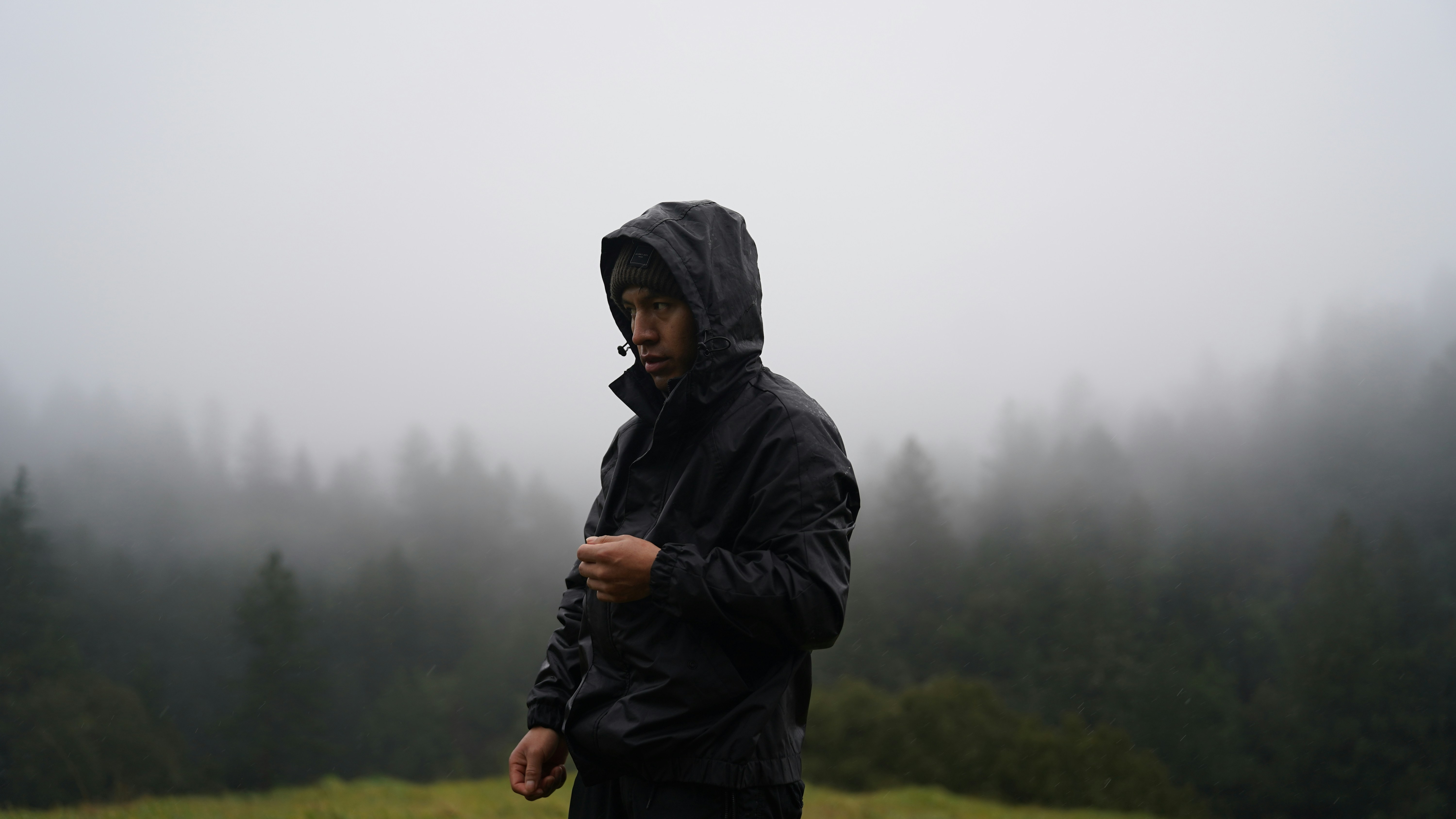 Muted in the Mist: A Hooded Figure in a Fog-Shrouded Field