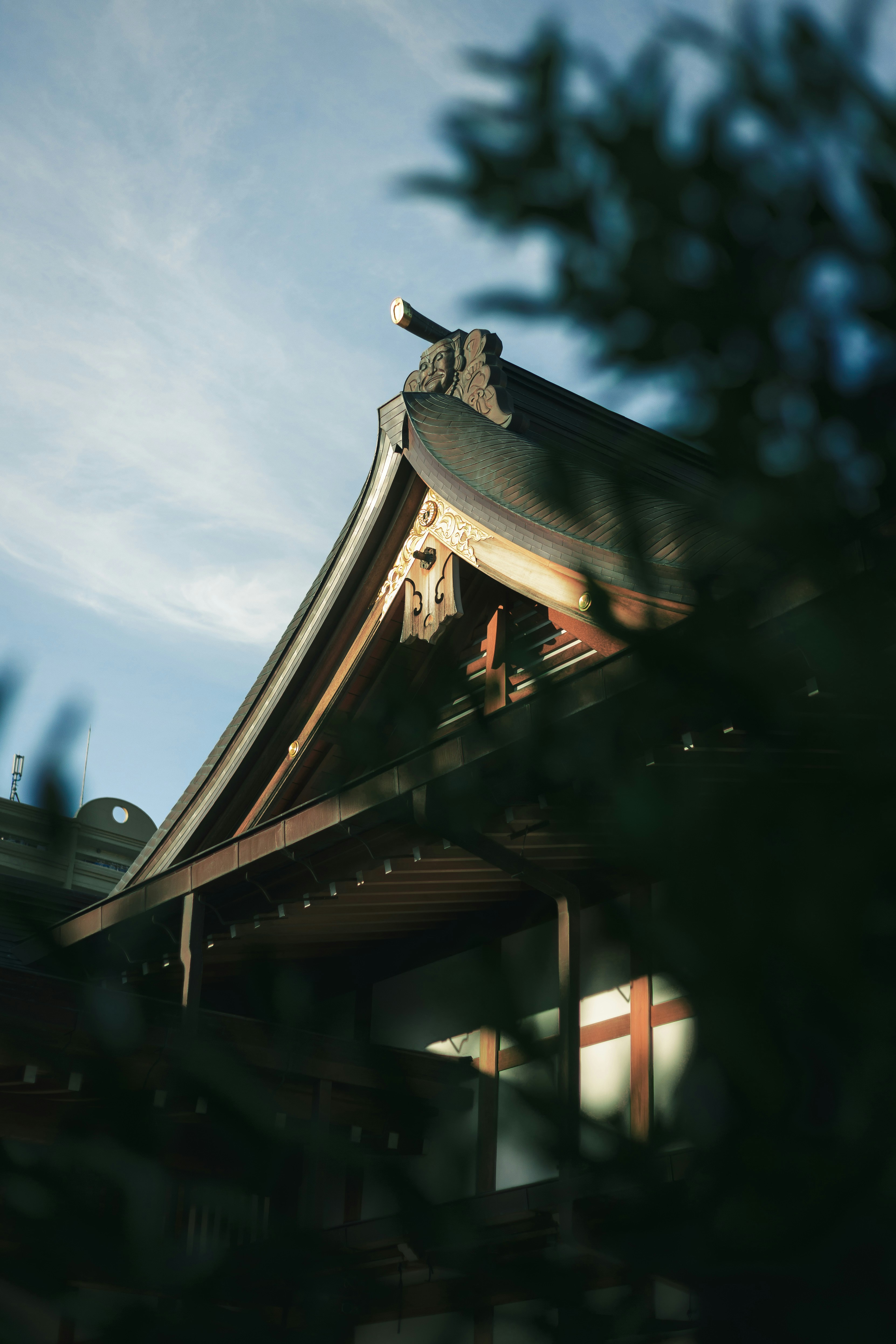 Curved Roofline in Soft Sunset Light