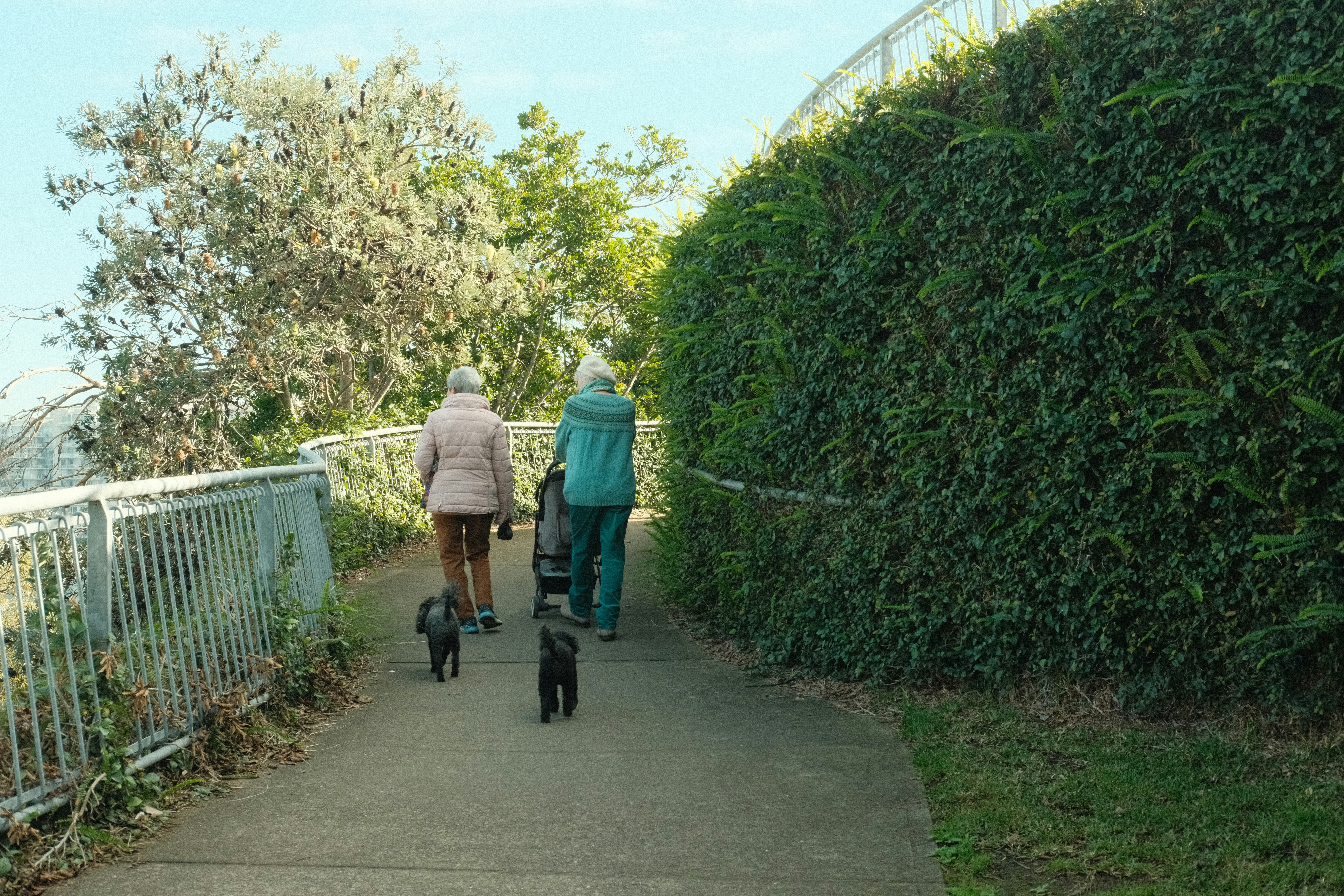 Two seniors and a pair of small dogs on a sunlit riverside path