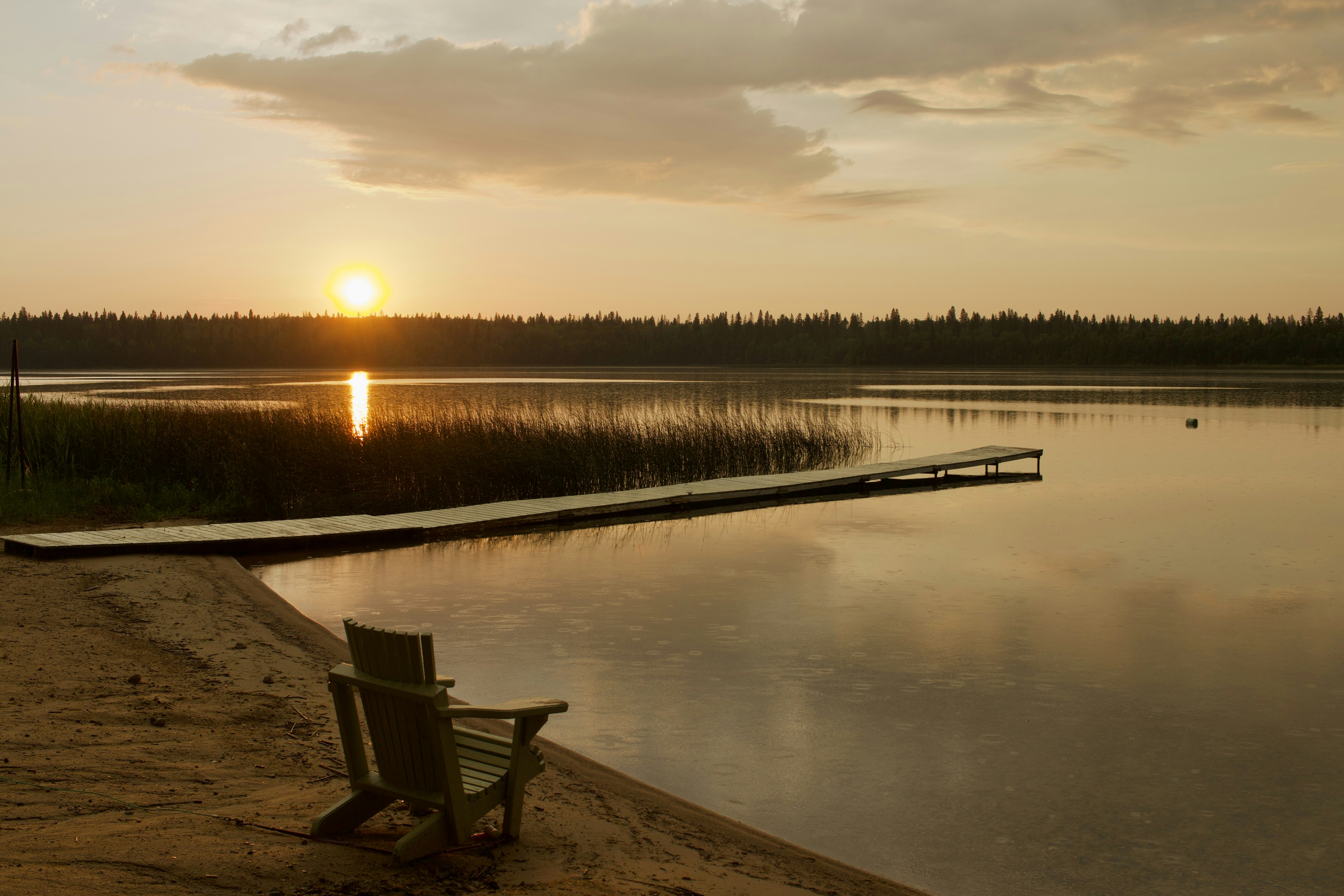 Sunlit Stillness: A Quiet Lakefront with a Wooden Dock