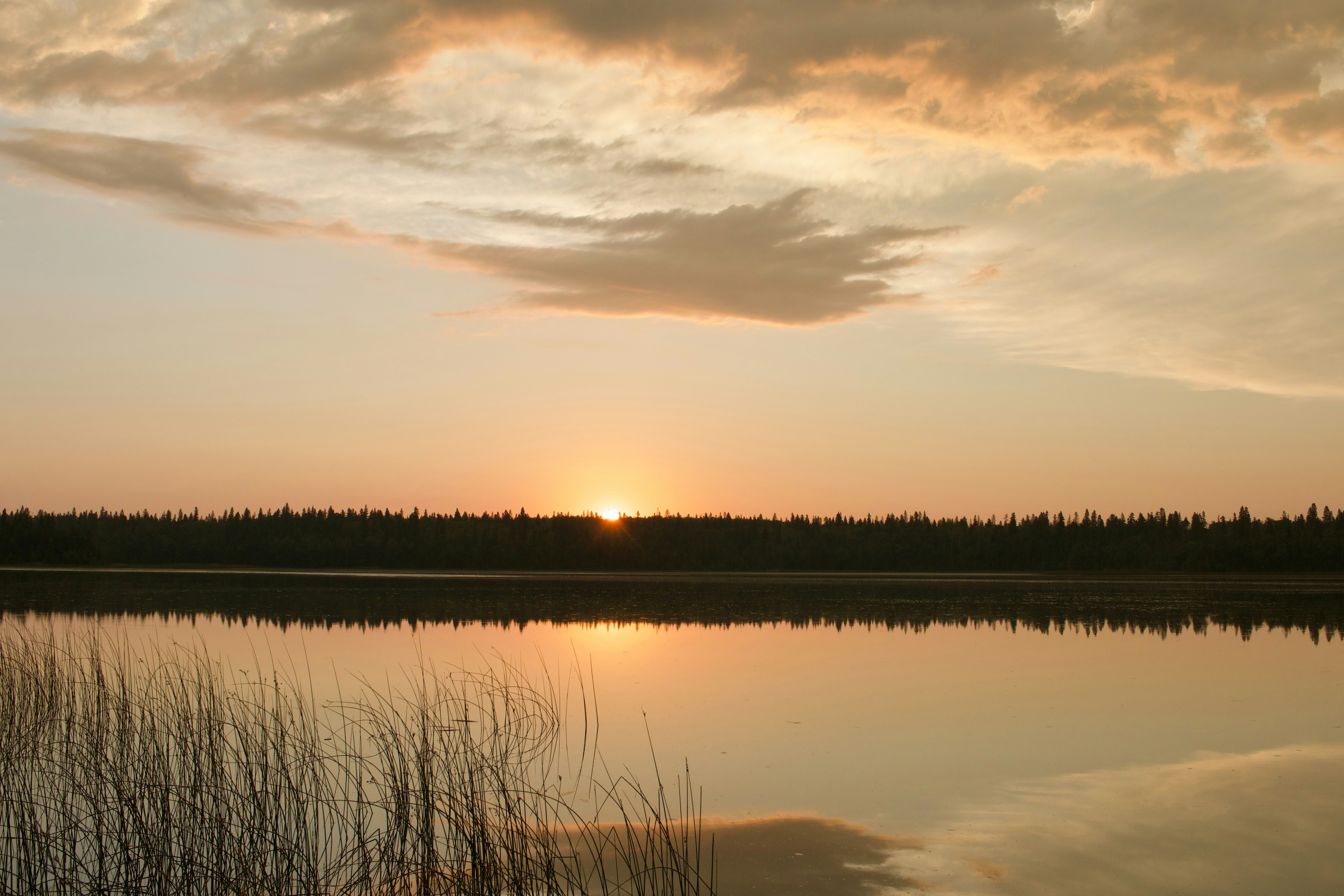 Sunset Quiet: A Mirrorline Over a Calm Reed-Outlined Lake