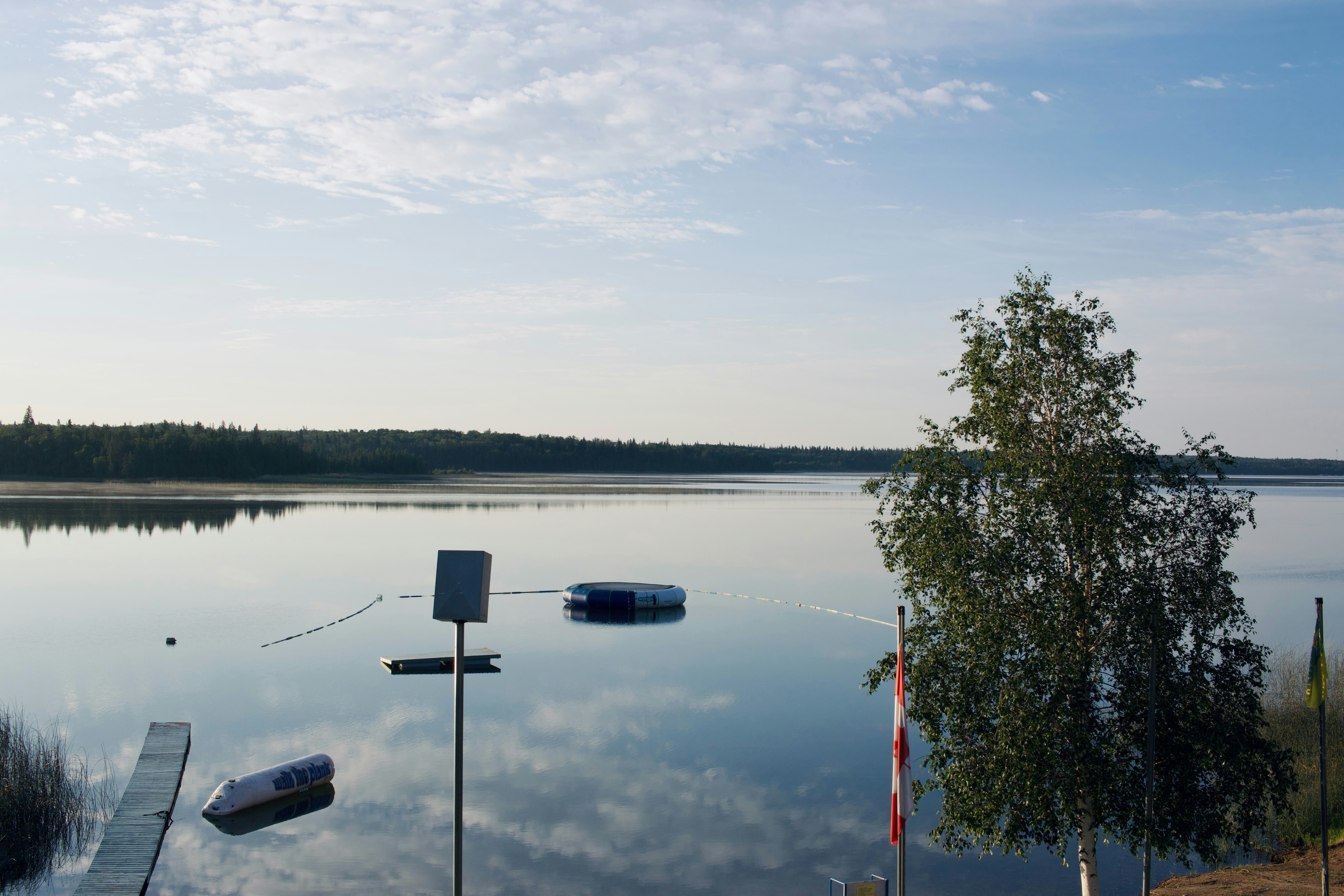 Calm Lakeside Gulls and Docks under a Clear Morning Sky