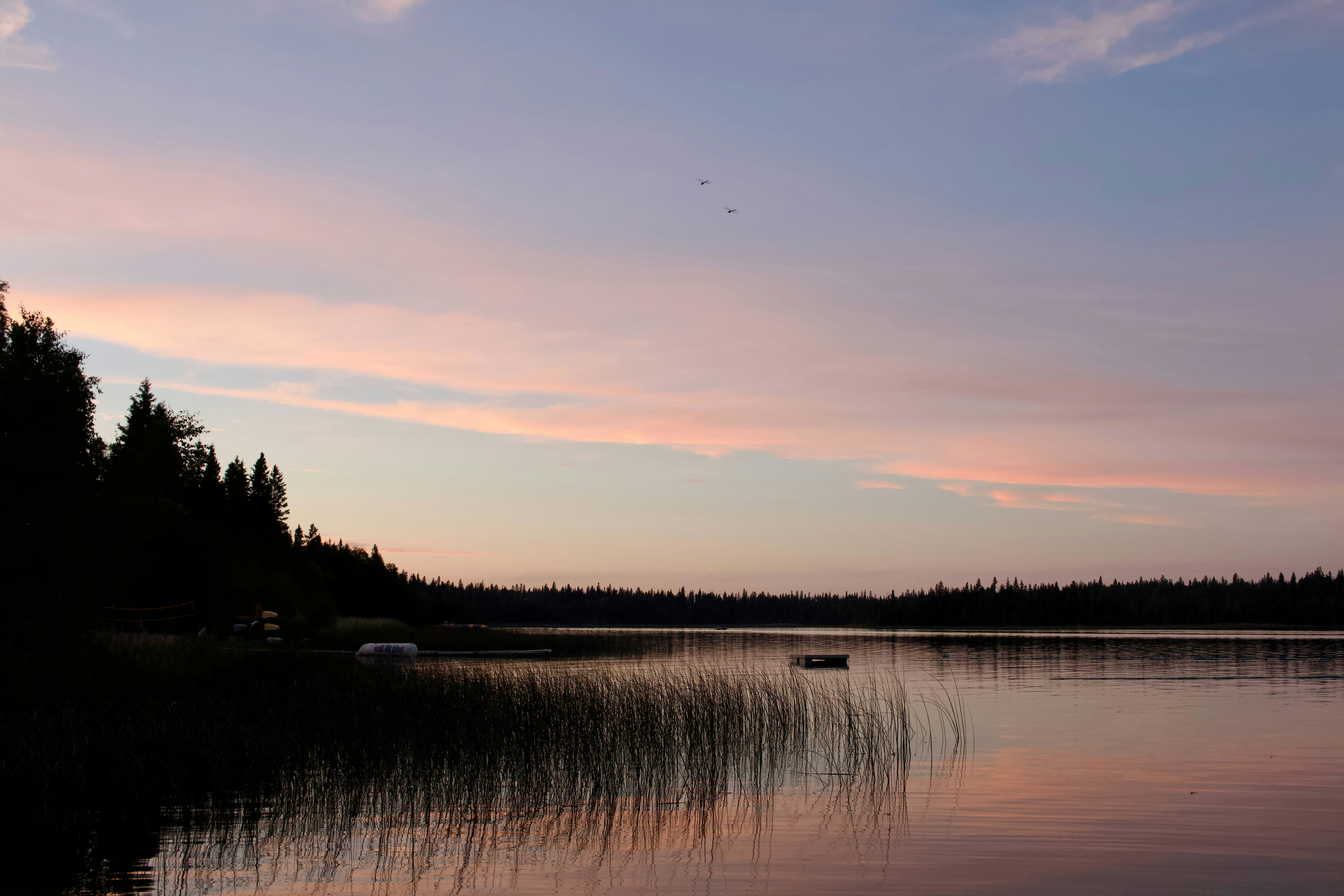Dusk on the Quiet Lake: Silhouettes at the Water’s Edge