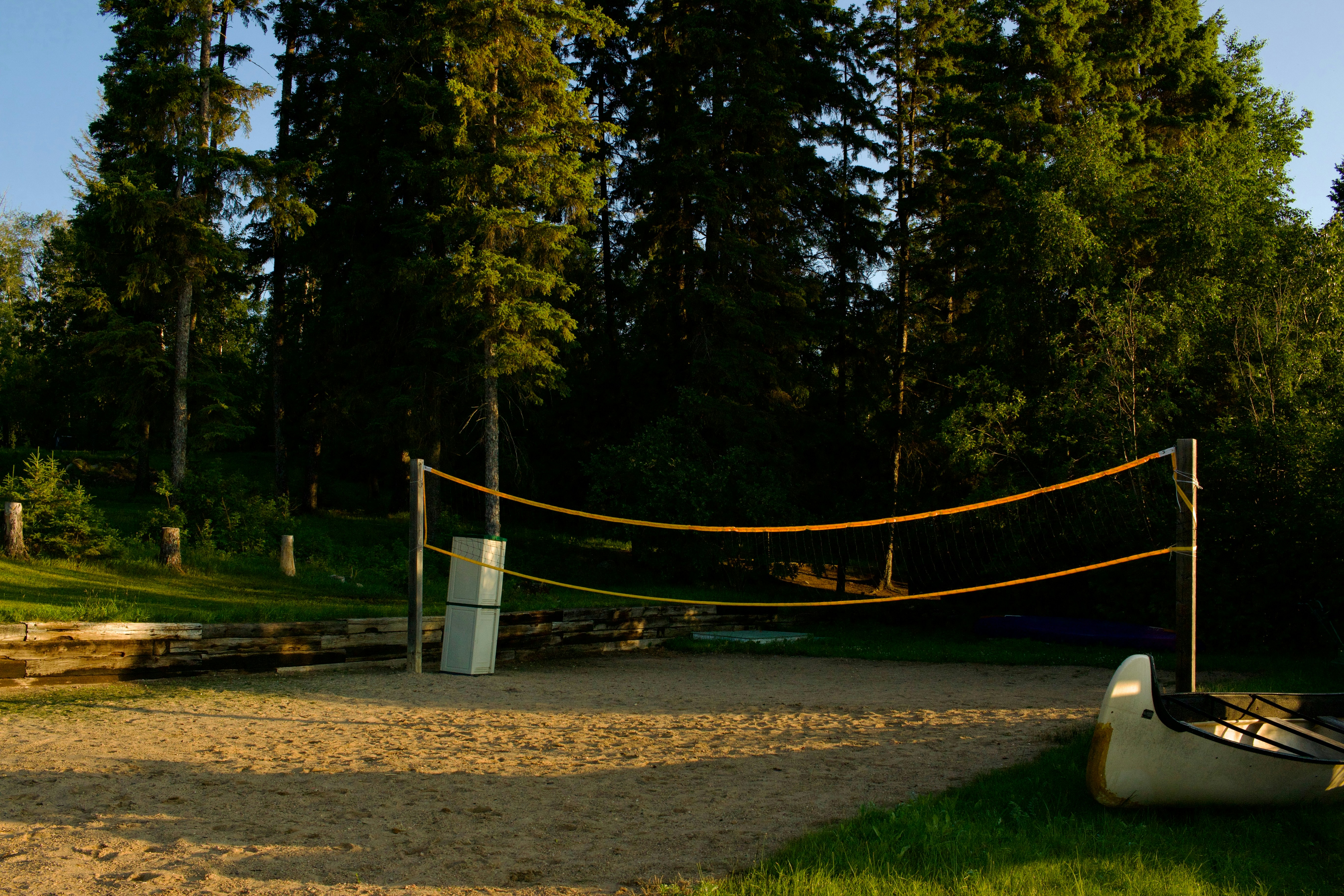 Sunlit Beach Volleyball Court Quietly Framed by Pines