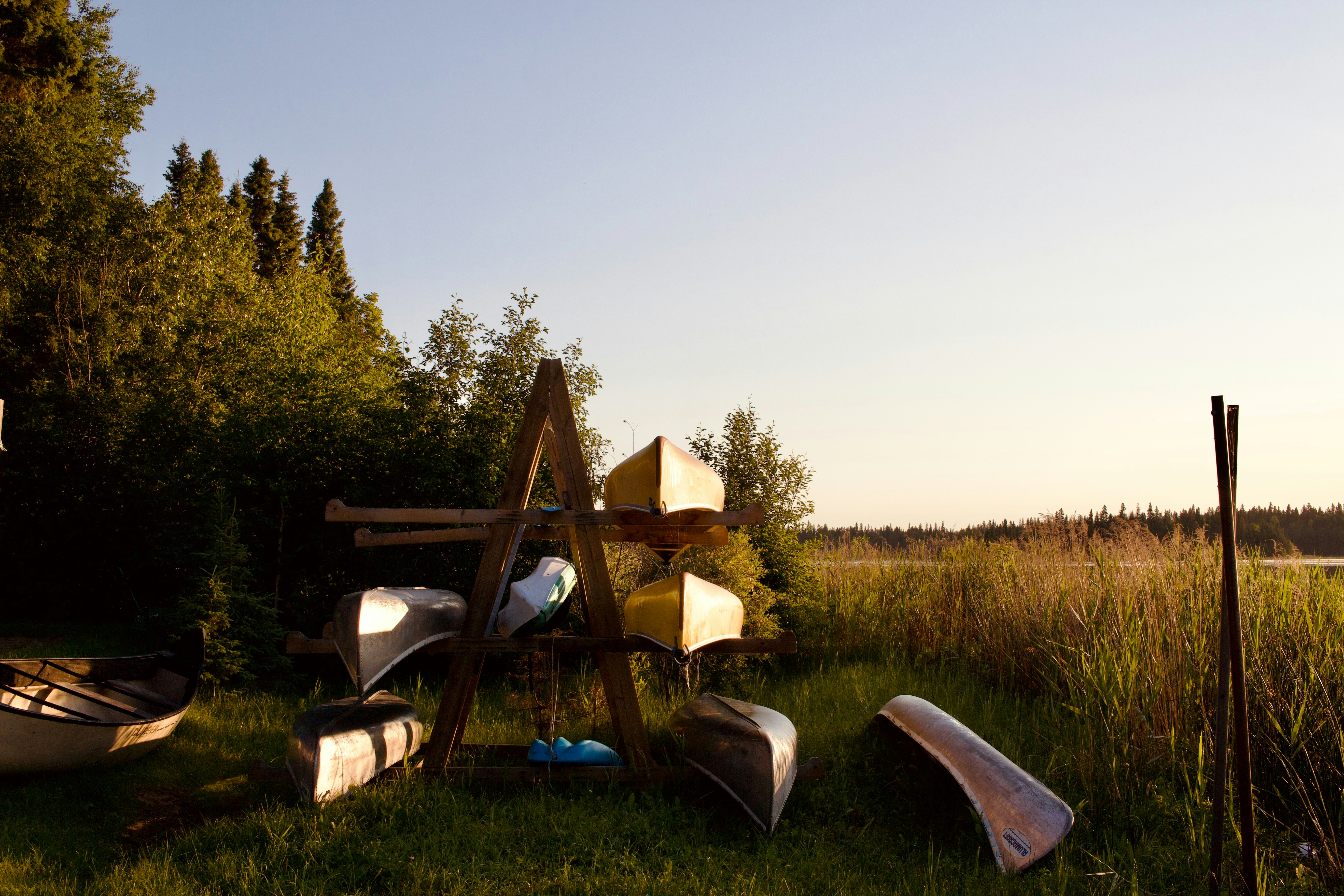 Sunlit Canoe Garden: Boats Resting Under a Quiet Early-Field Sky