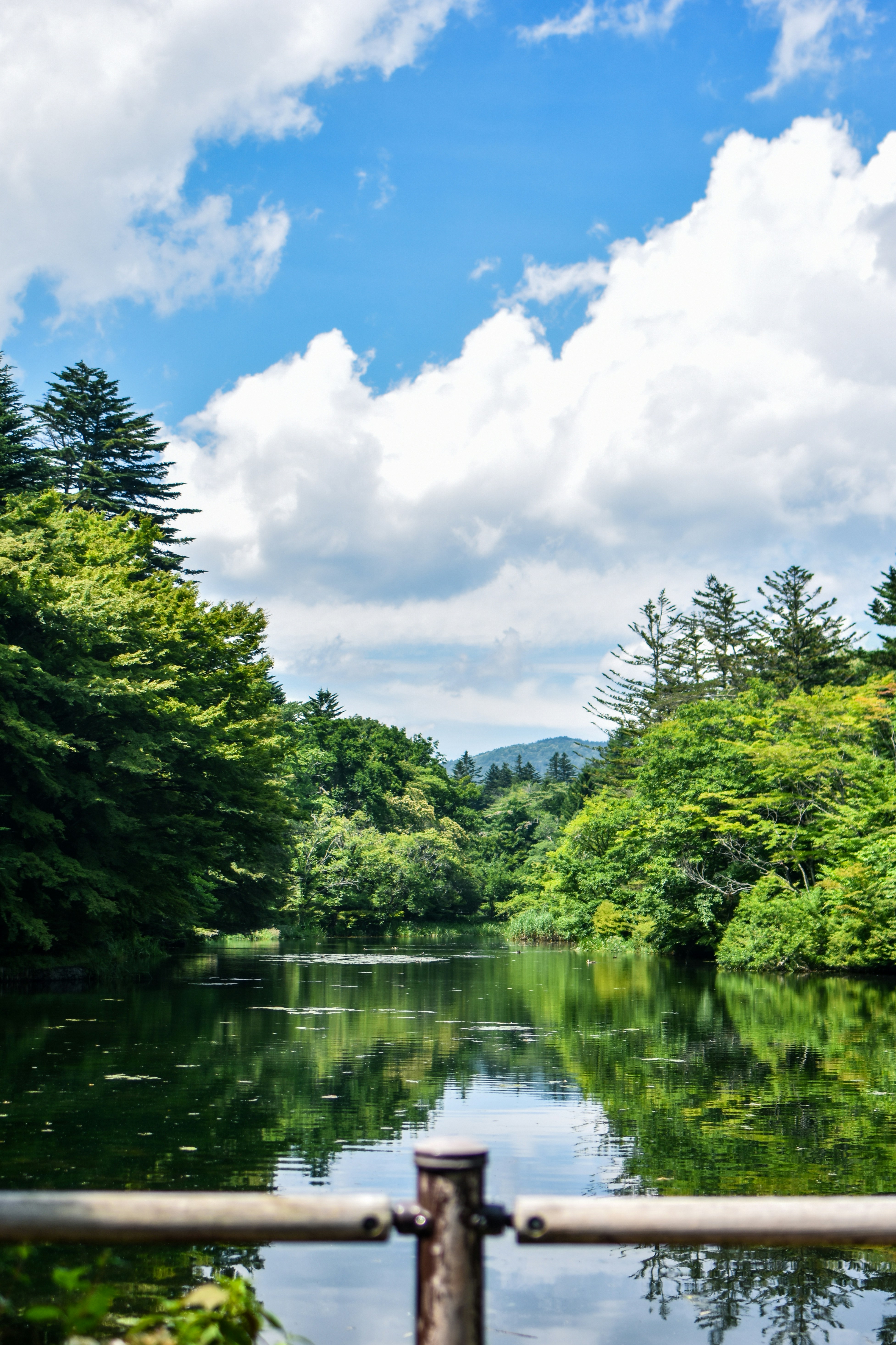 River Mirror: Pinpoint at the Quiet Vantage Along the Dappled Water