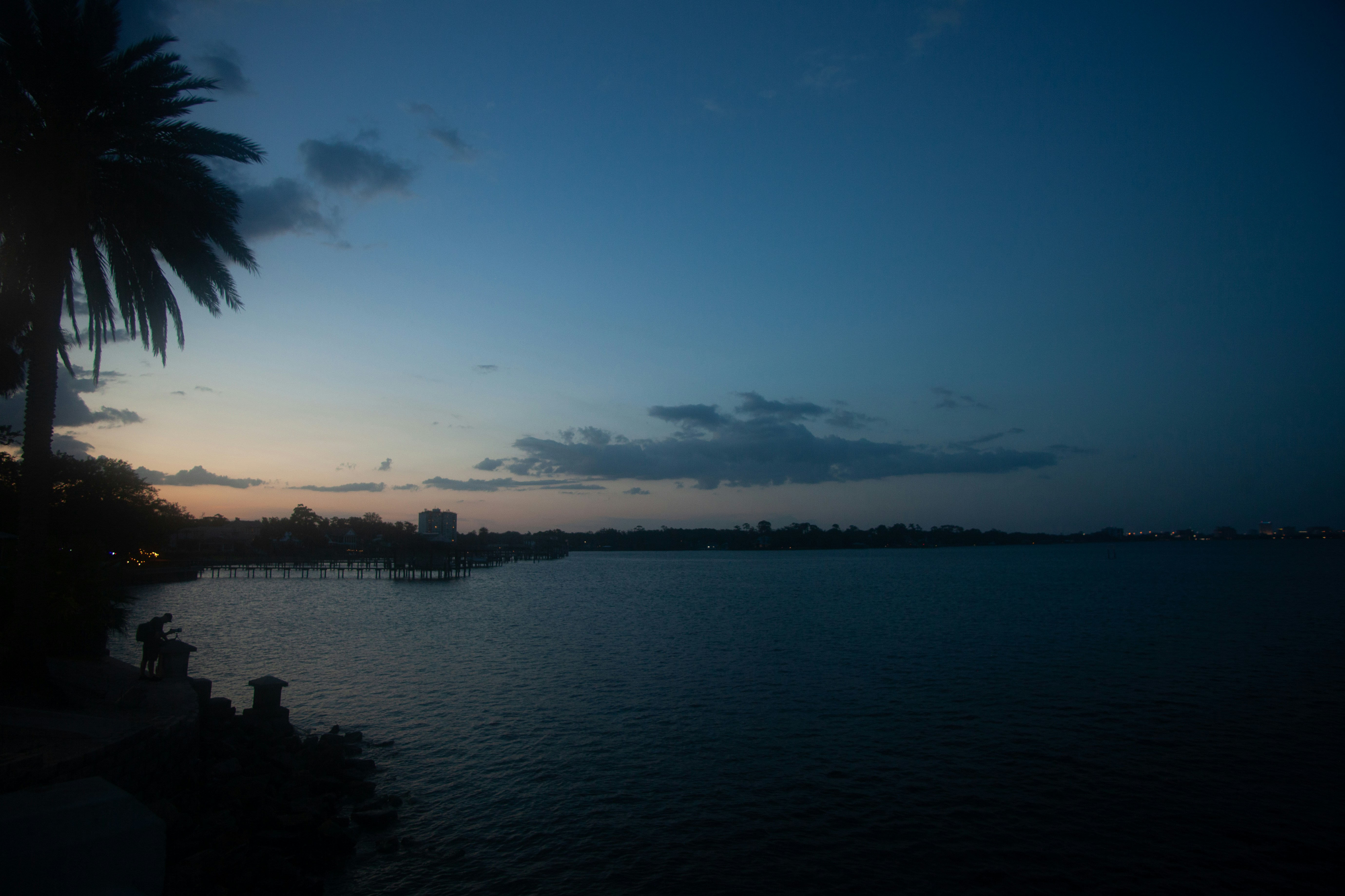 Low-light coastal scene with silhouetted palm and shoreline on the left, calm water extending to a distant horizon; subtle sunset glow and a quiet, expansive atmosphere. (No logo or illustration present.)