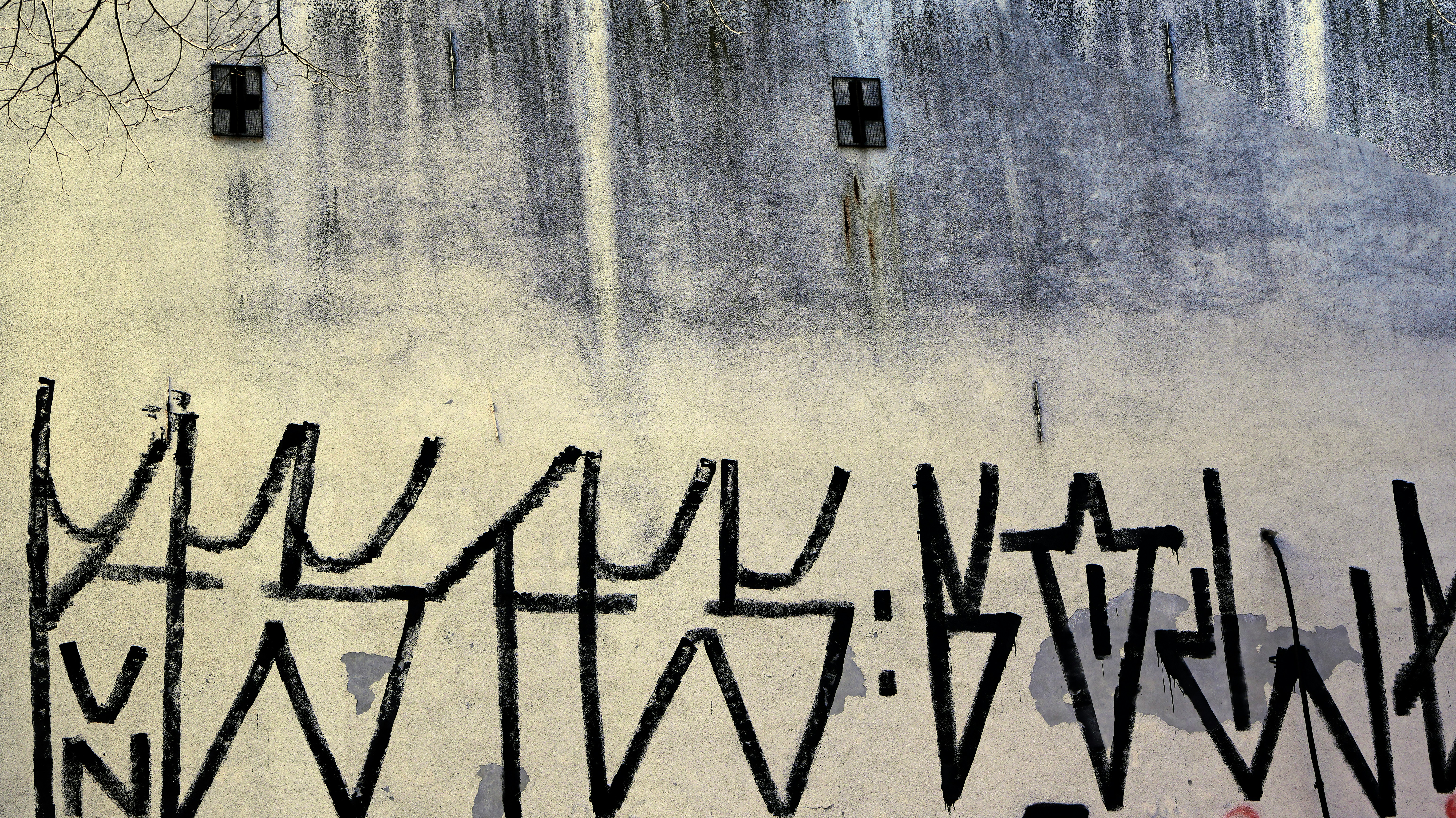 Concrete Veins and Graffito Echoes on a Weathered Wall
