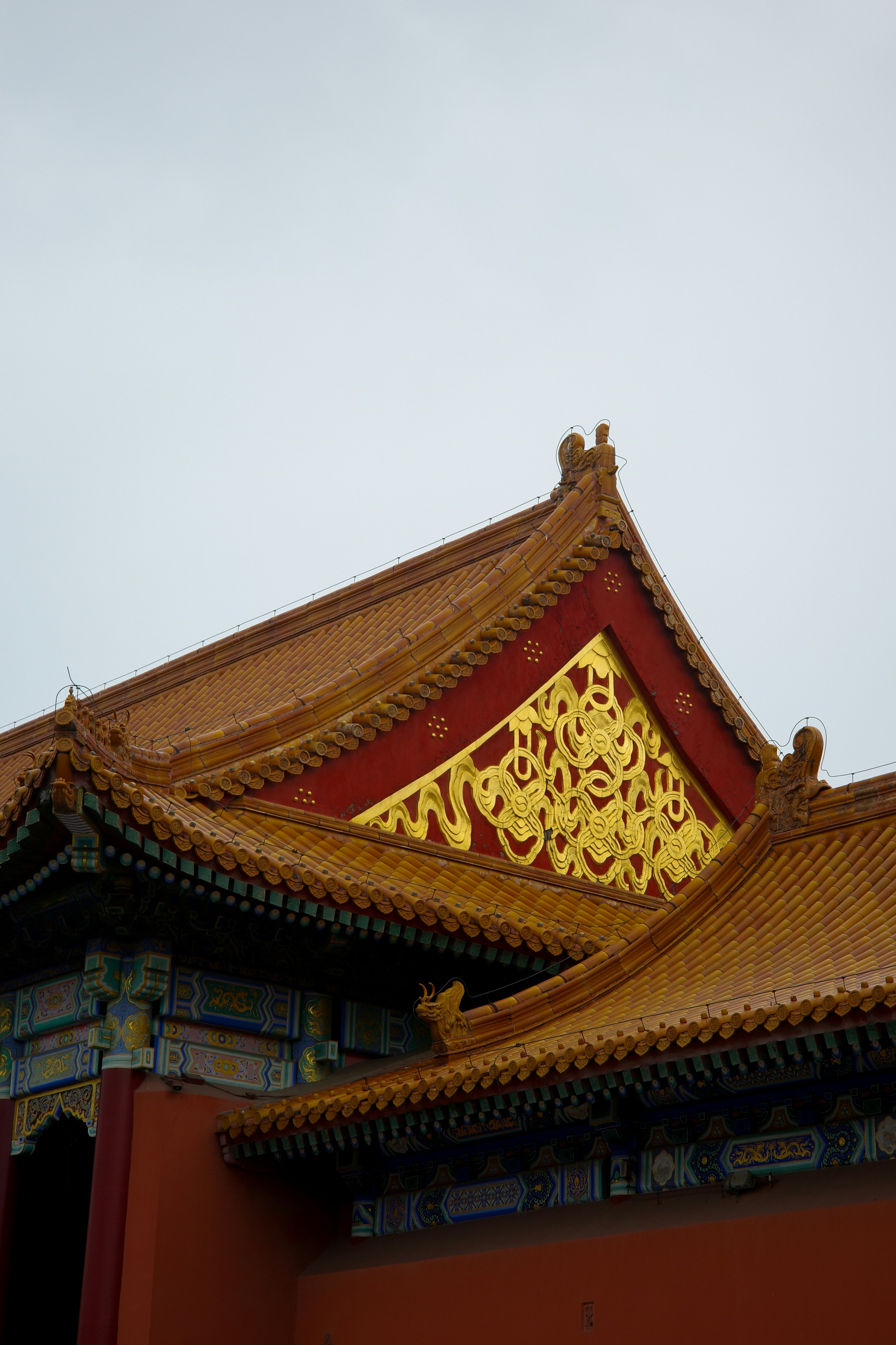 Golden Rooflines: A Courtyard Crest in Red and Gold