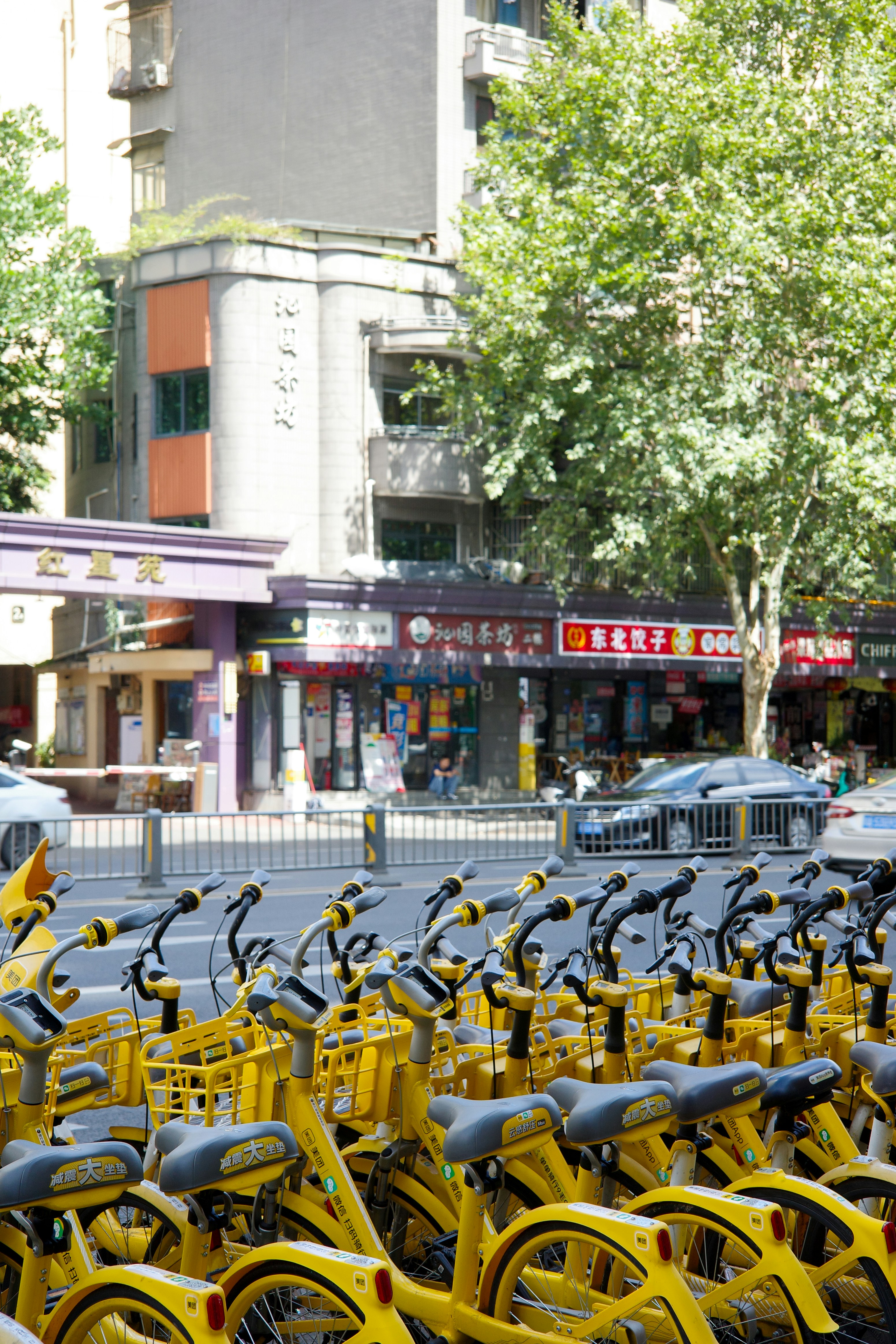Row of Bright Yellow Bicycles Resting Before a City Street