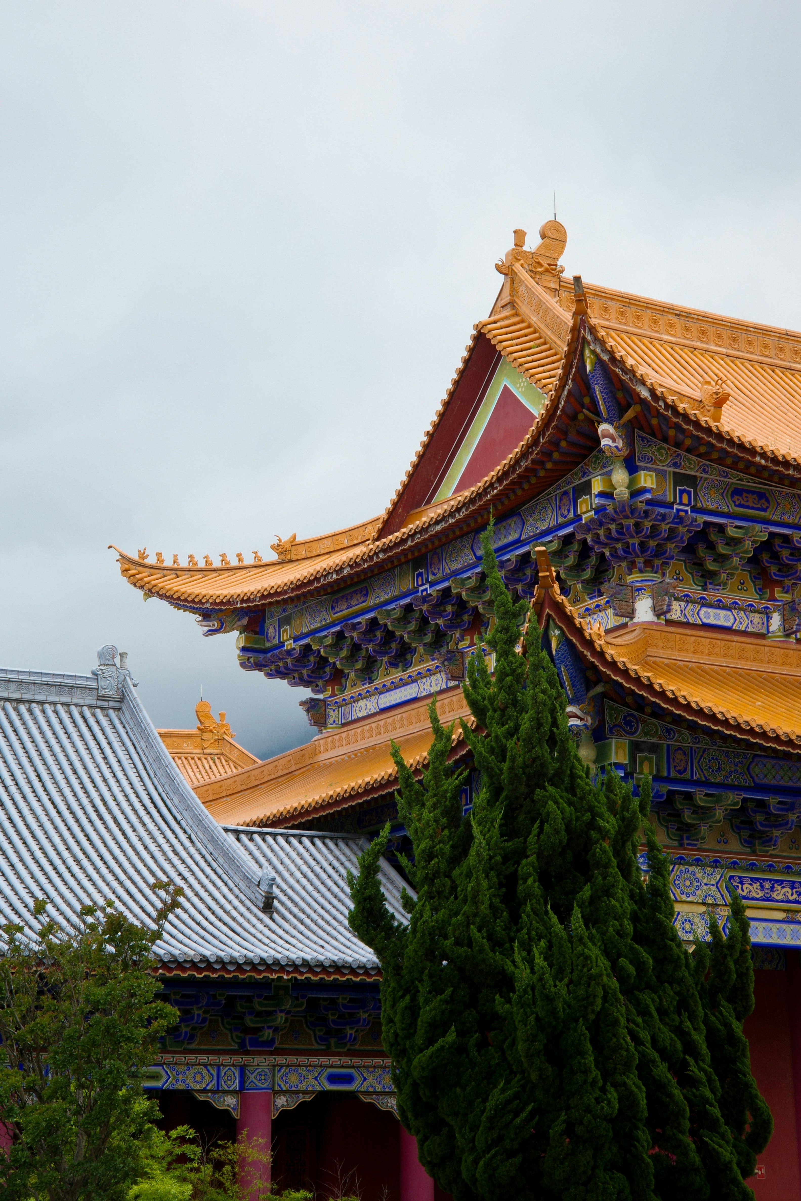 Golden Roofs and Carved Eves: Temple Majesty in Full Sun