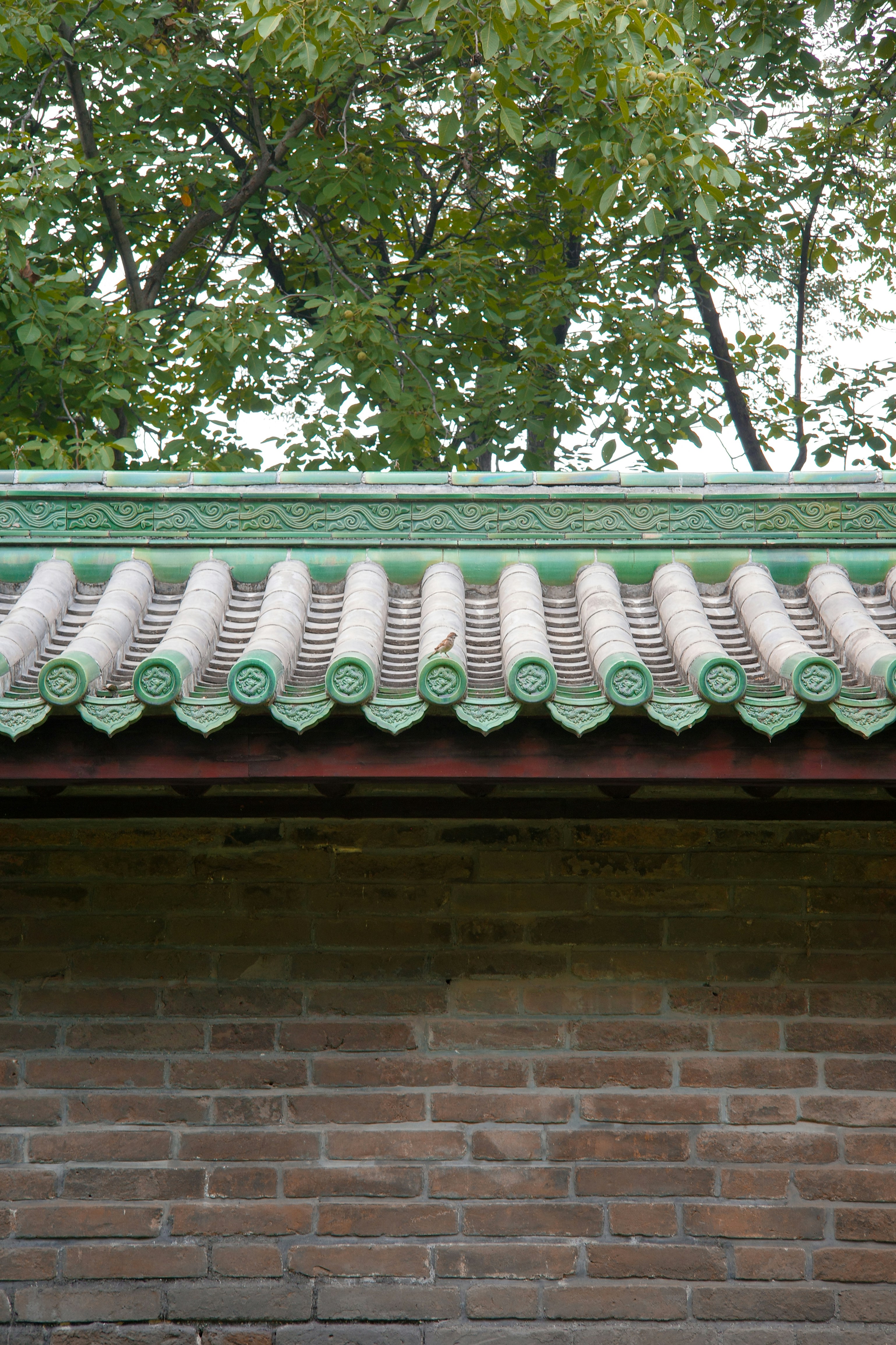 Green tiled roof over a sunlit brick wall