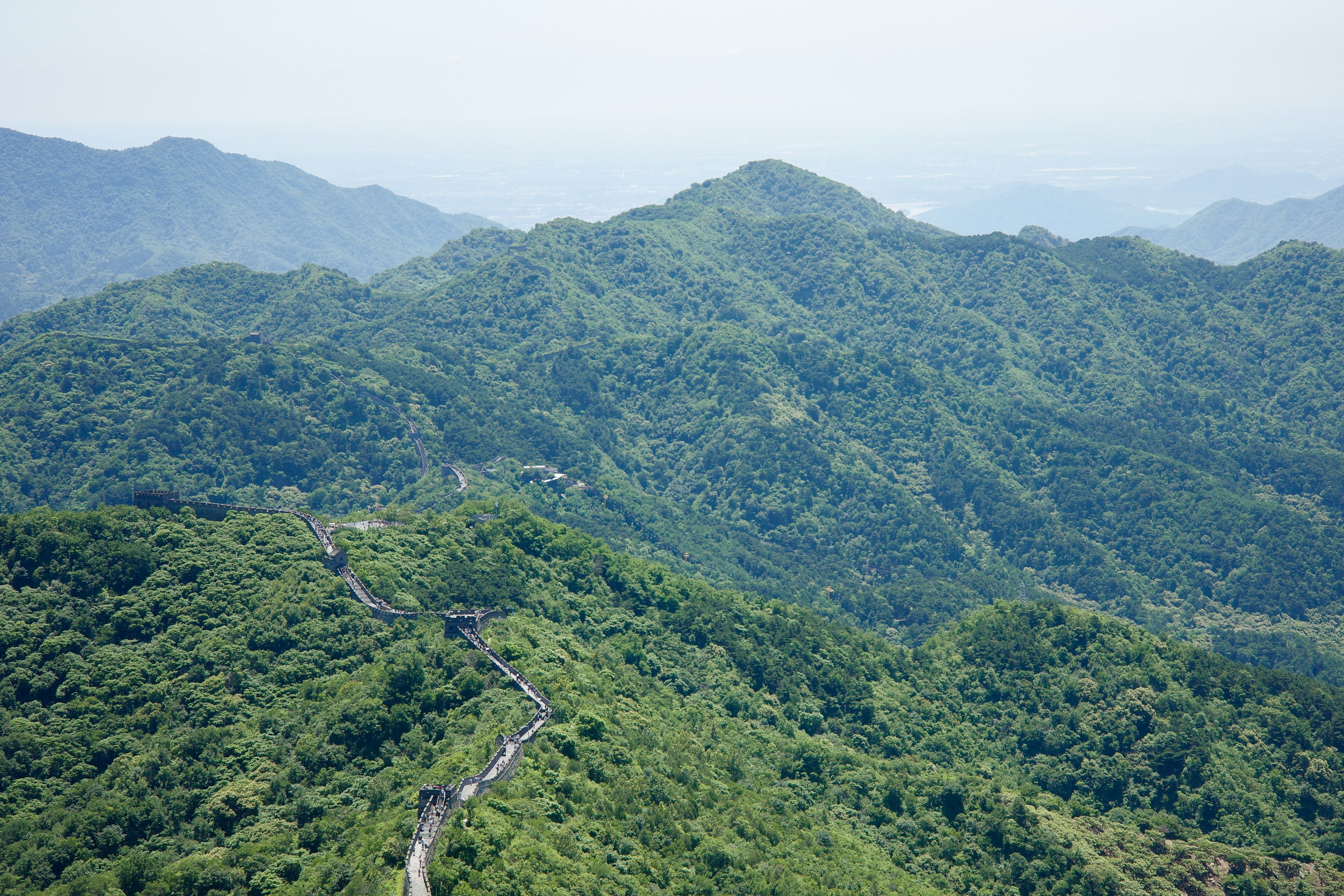 Serpentine Ridge: A River of Green Through Mountain Tapestry