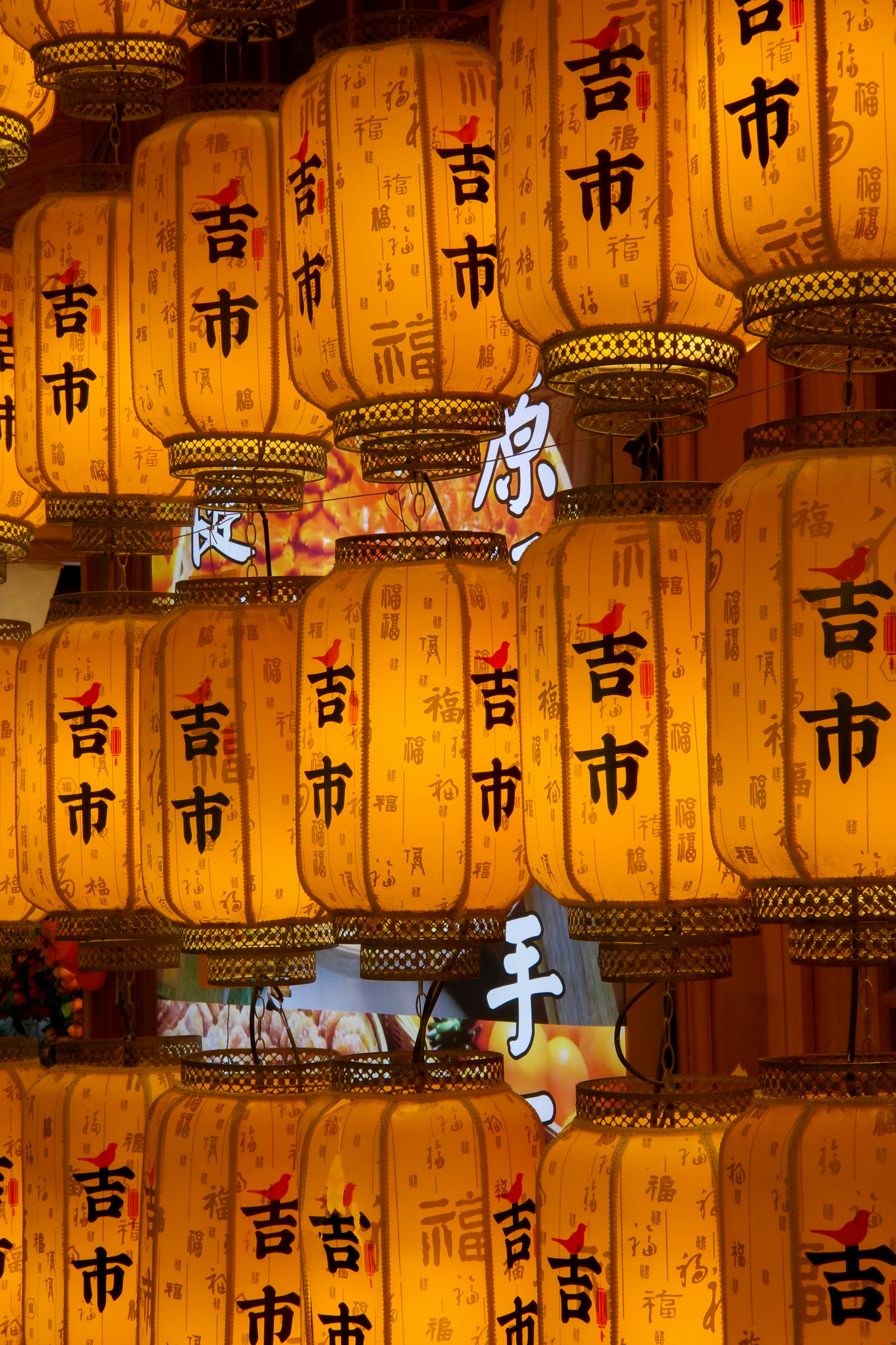 Ambient Lantern Cascade in a Warm-Orange Alley