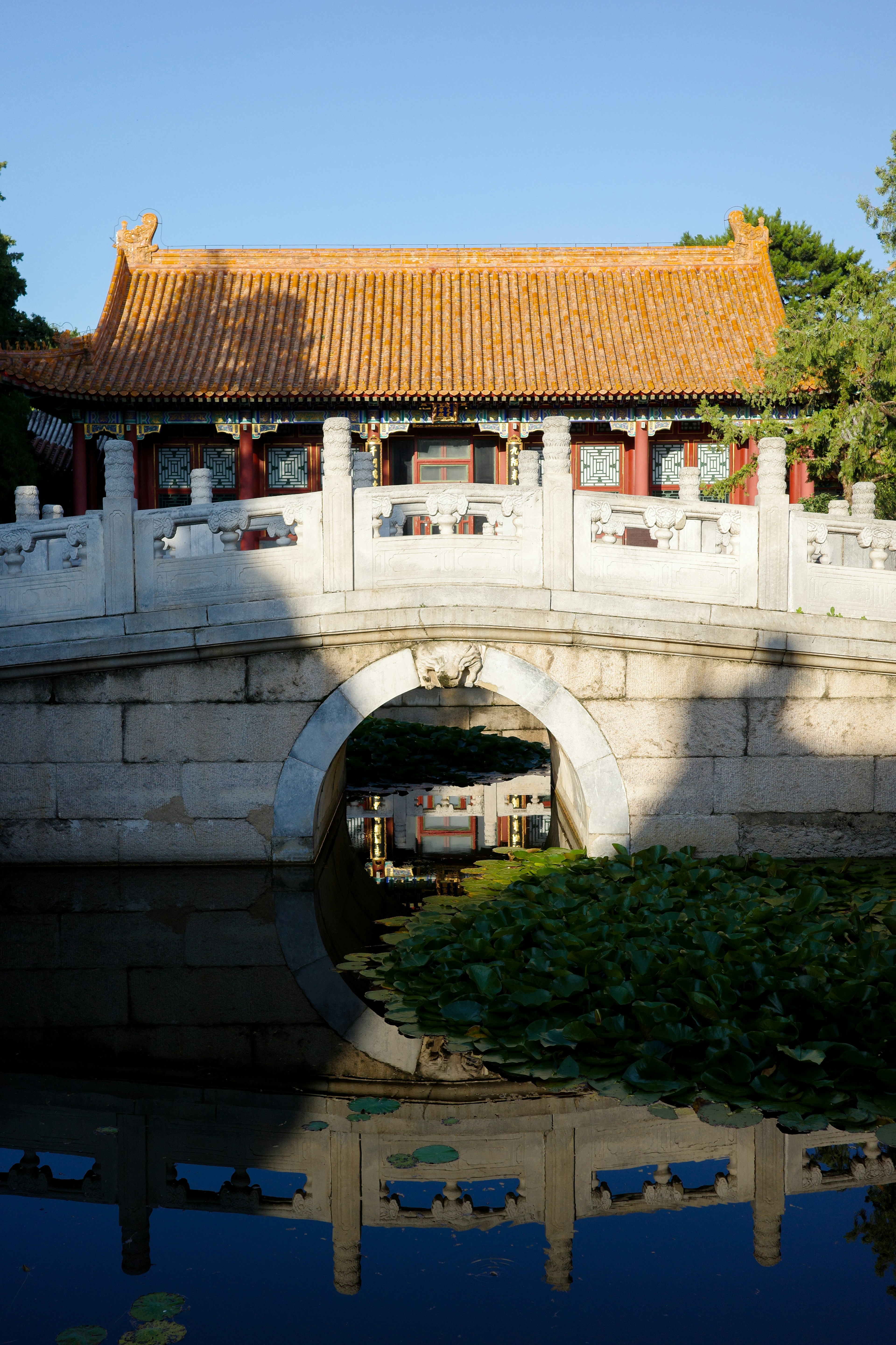 Archway Reflections: A Quiet Balance of Stone and Water