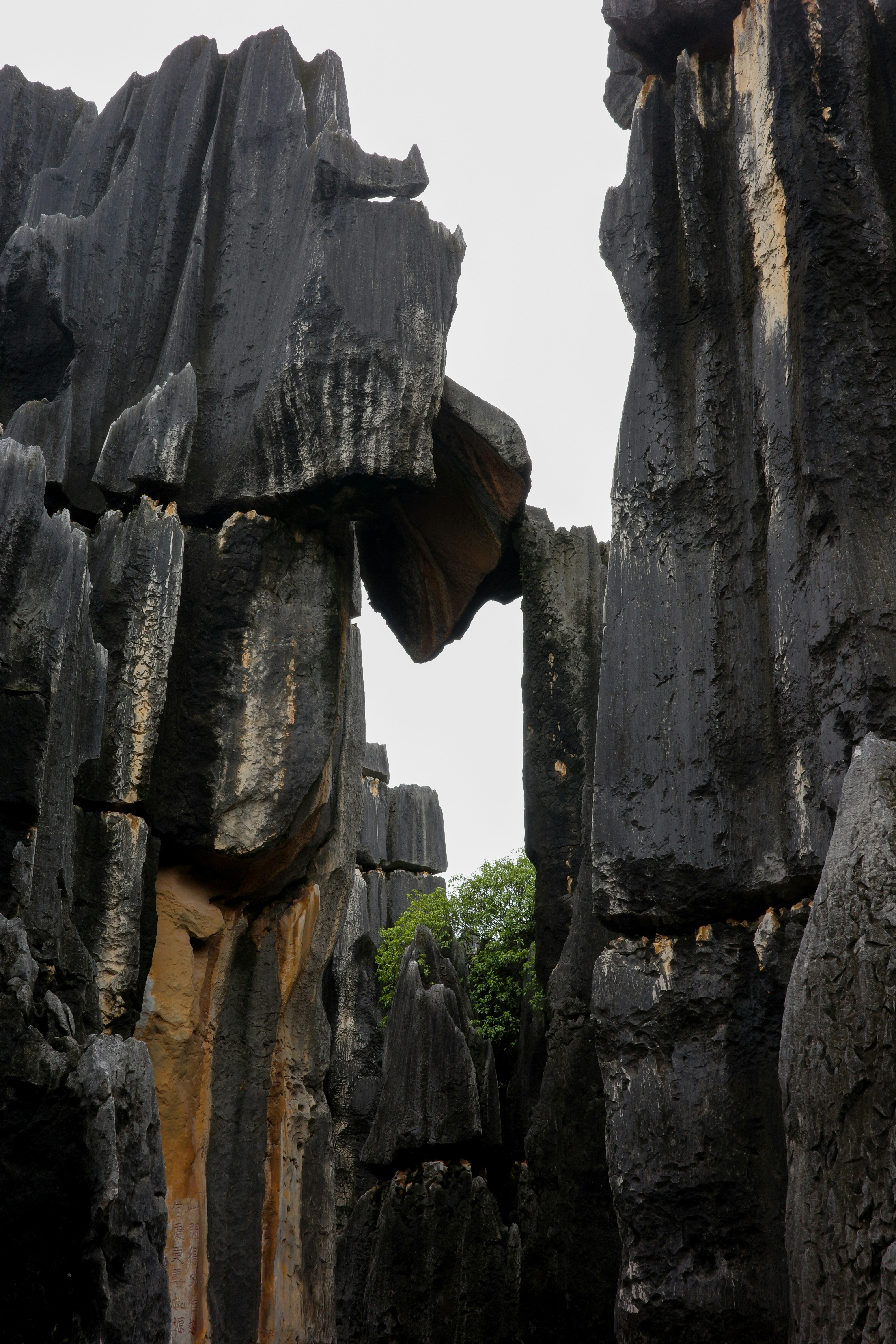 Pillared Granite Labyrinth Surging with Sparse Green Doorway