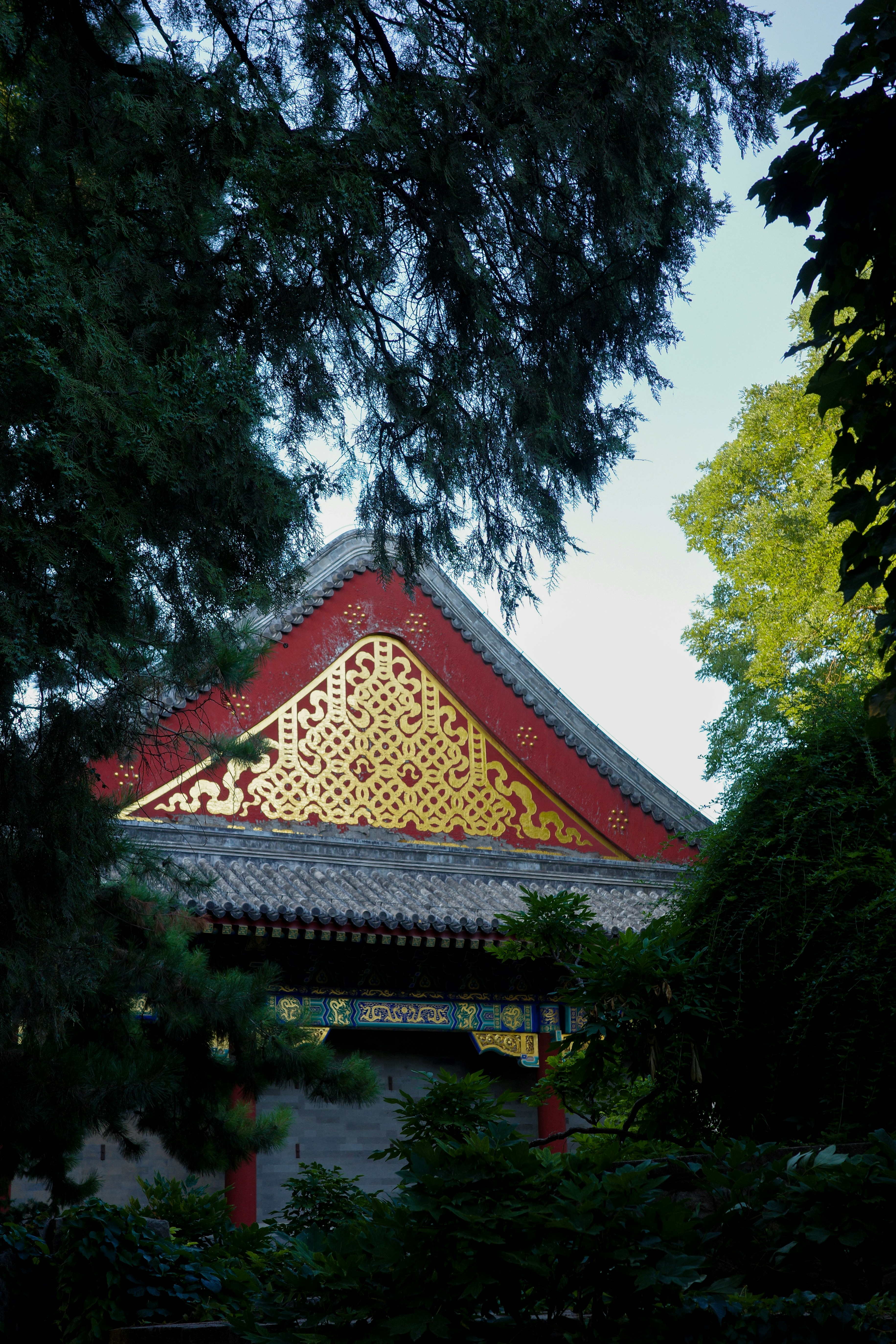 Red Gate Amid Evergreen Canopy