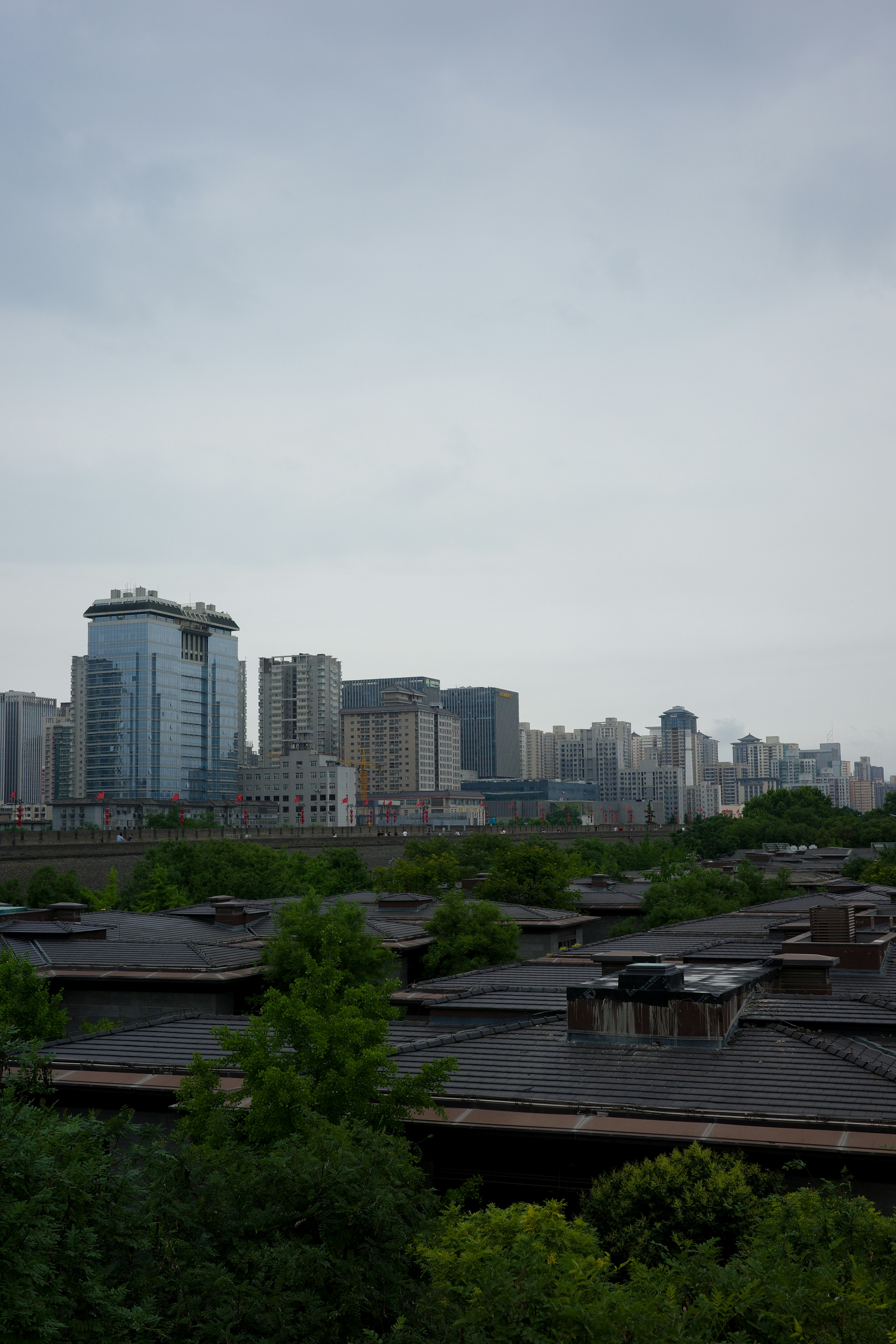Urban Ridge: A Quiet Rooftop Edge Framing a Modern Skyline