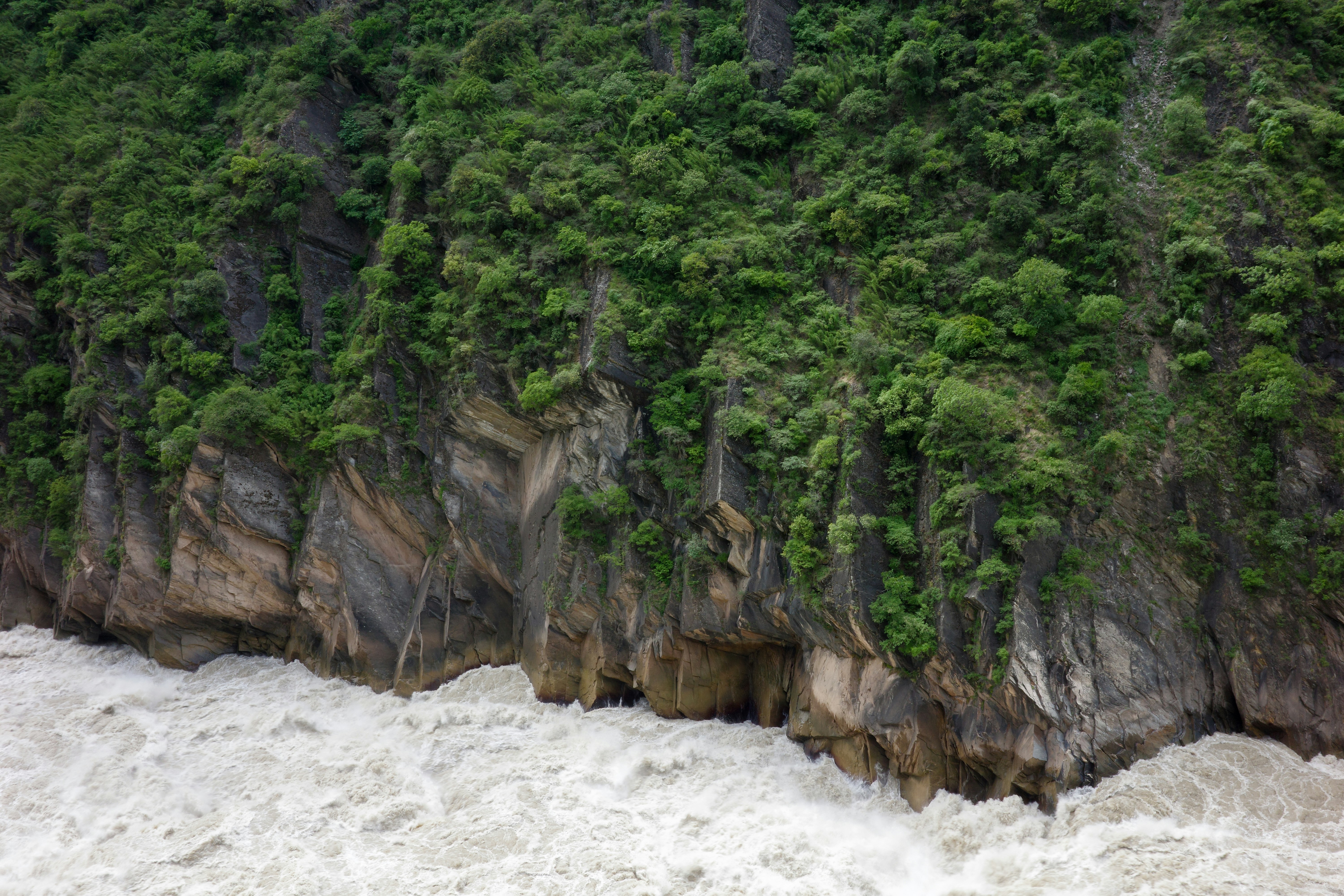 Cliffside Forest Meets Ferocious Tidal Line